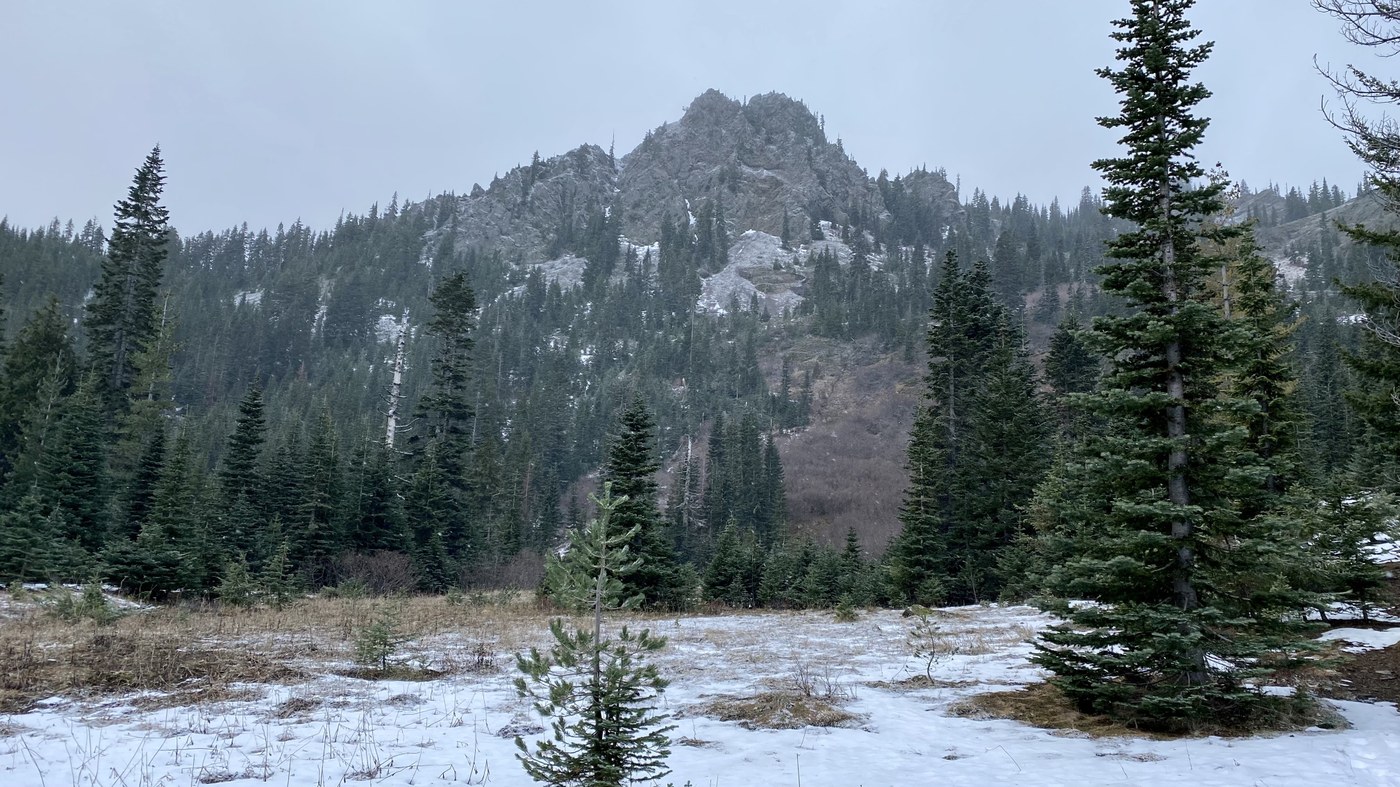 Thorp Mountain Lookout via Thorp Creek — Washington Trails Association