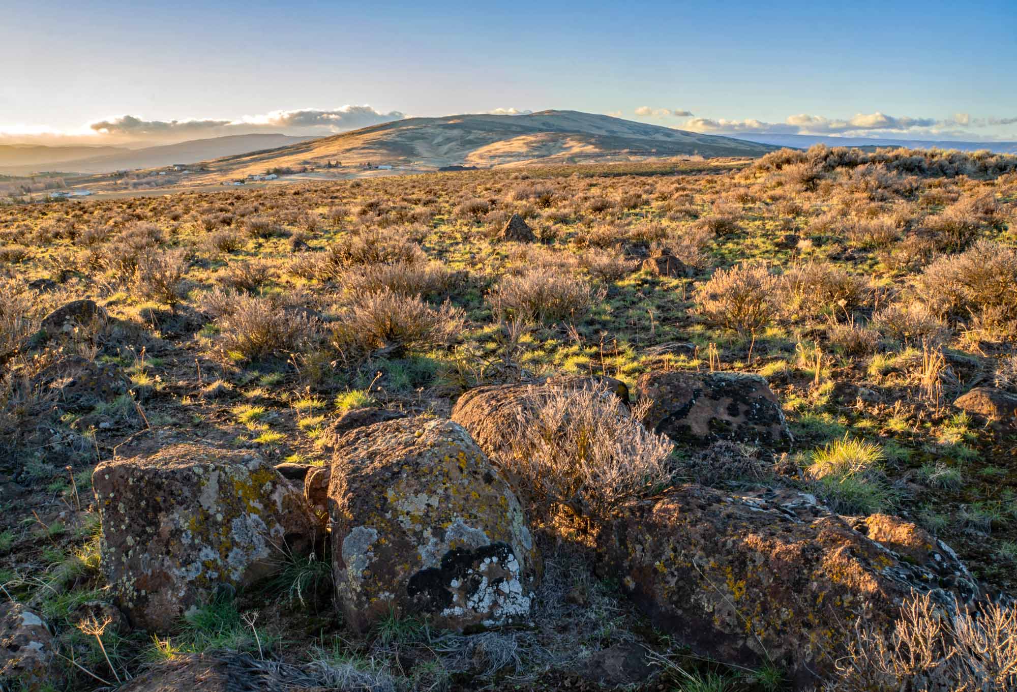 Cowiche Canyon — Washington Trails Association