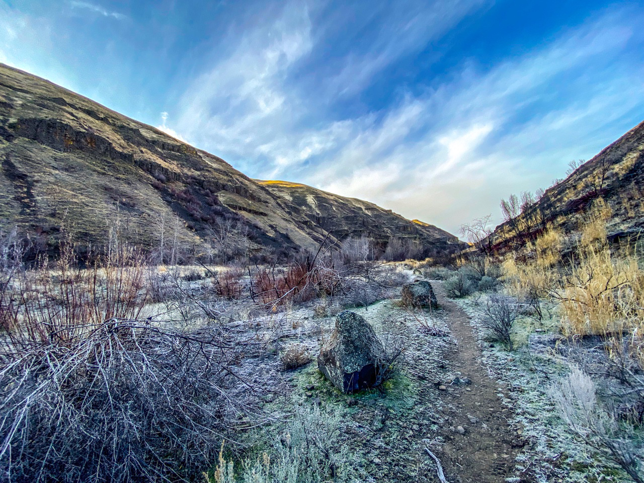 Umtanum Creek Canyon — Washington Trails Association