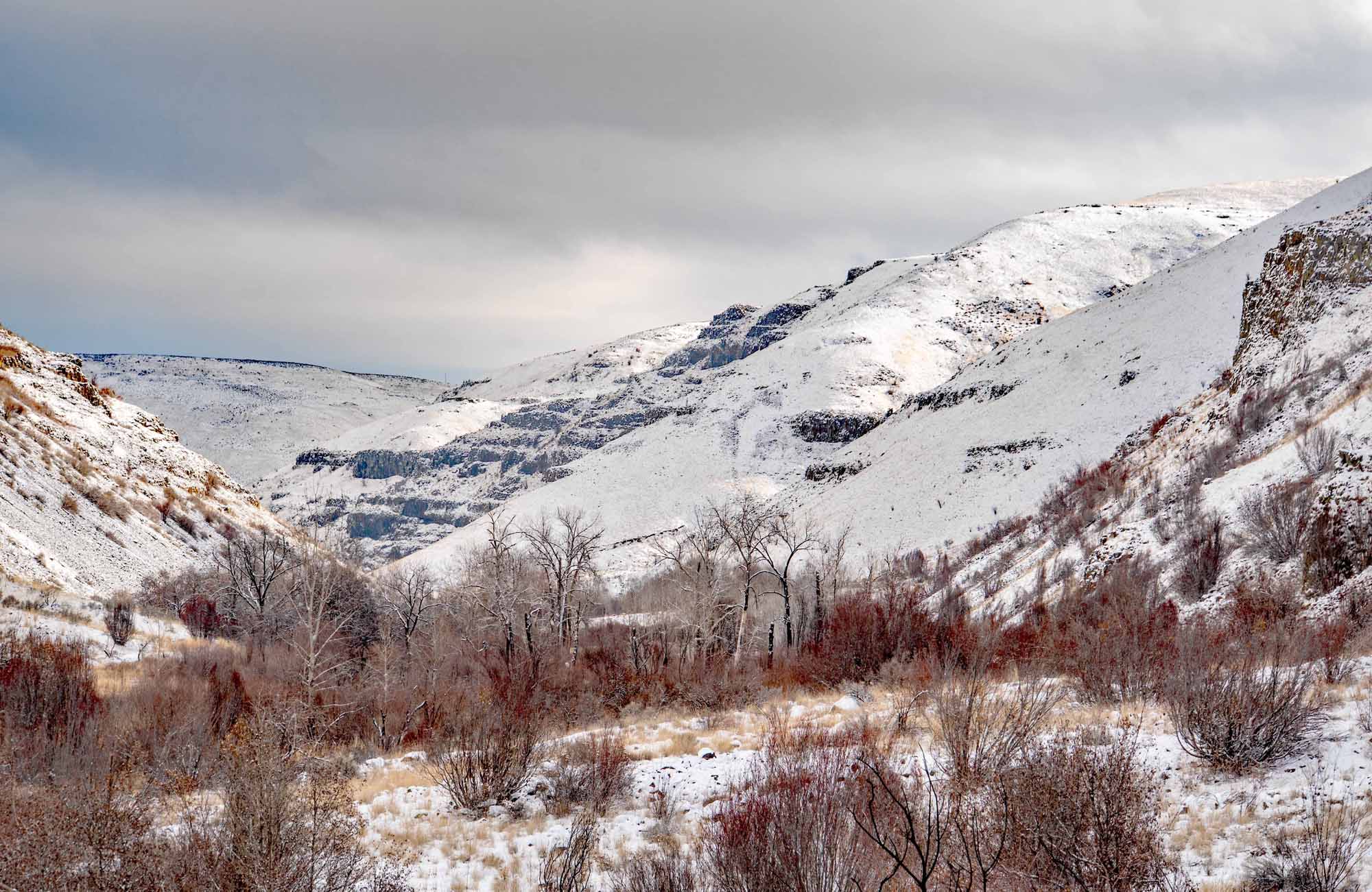 Umtanum Creek Canyon — Washington Trails Association