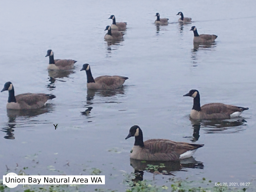 Union Bay Natural Area — Washington Trails Association