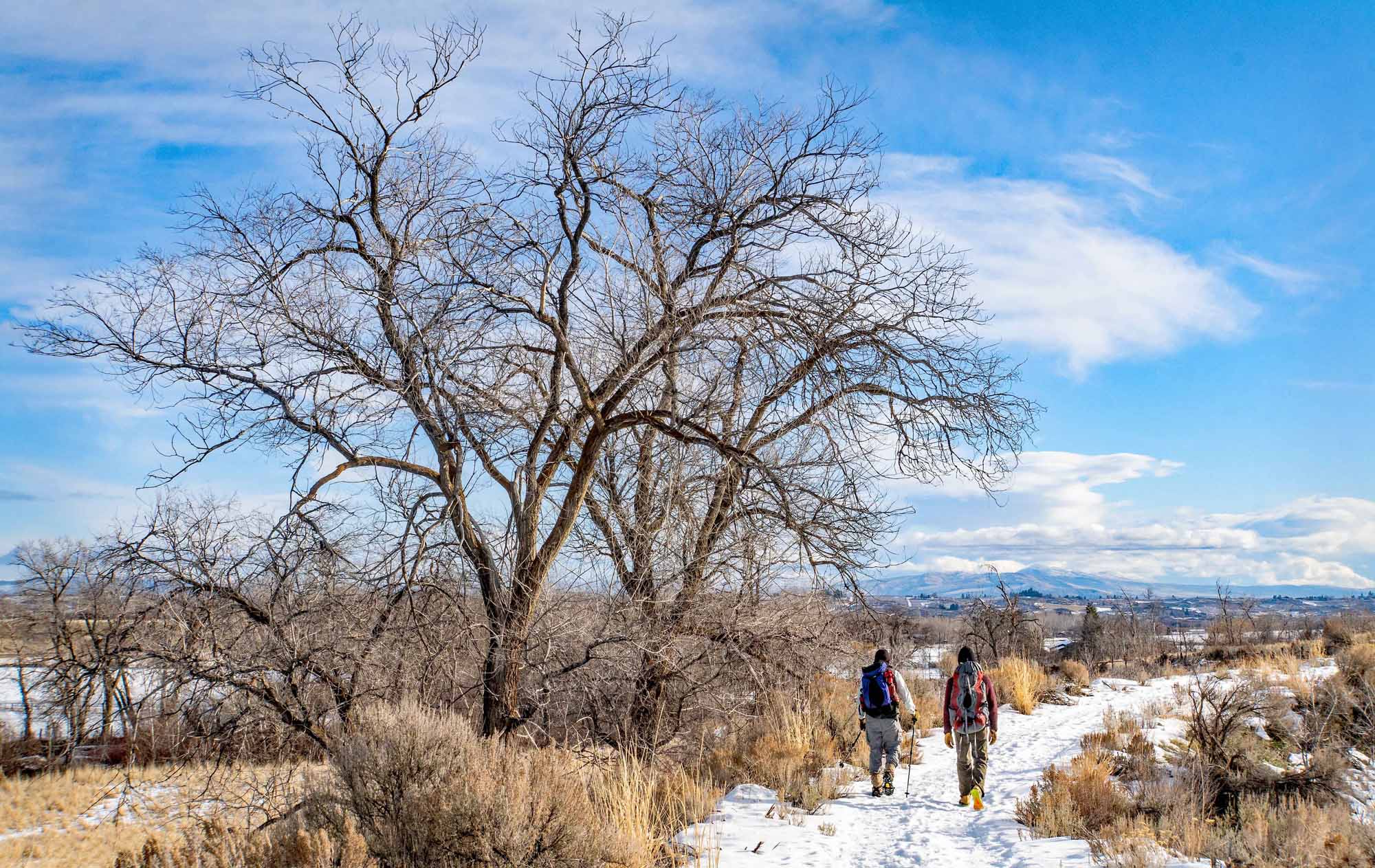 Snow Mountain Ranch and Cowiche Mountain — Washington Trails Association