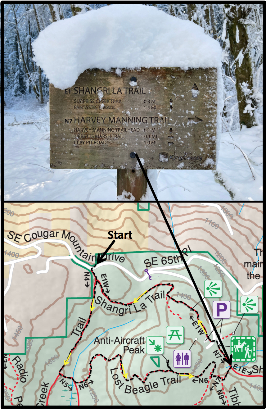 Coyote Creek, Klondike Swamp, Lost Beagle, Shangri La — Washington ...