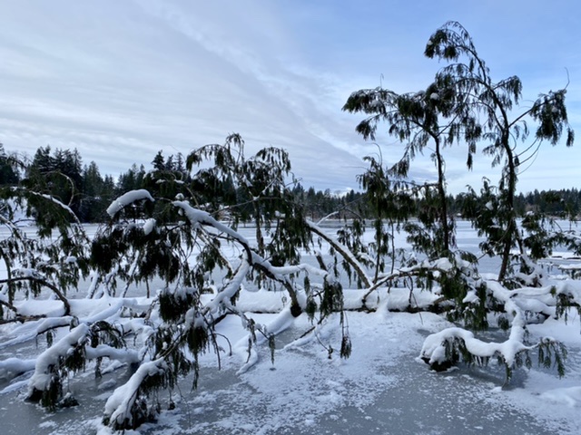 Spring Lake/Lake Desire Park - Echo Mountain — Washington Trails ...