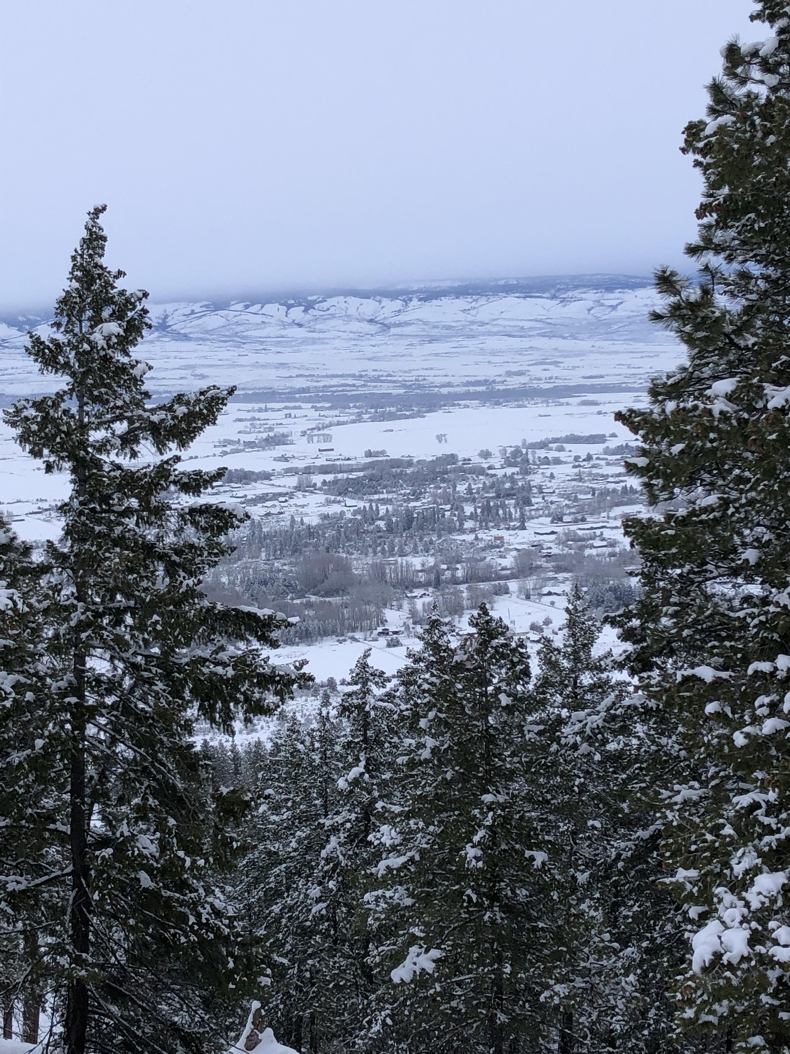 Manastash Ridge - Boy Scout Trail — Washington Trails Association