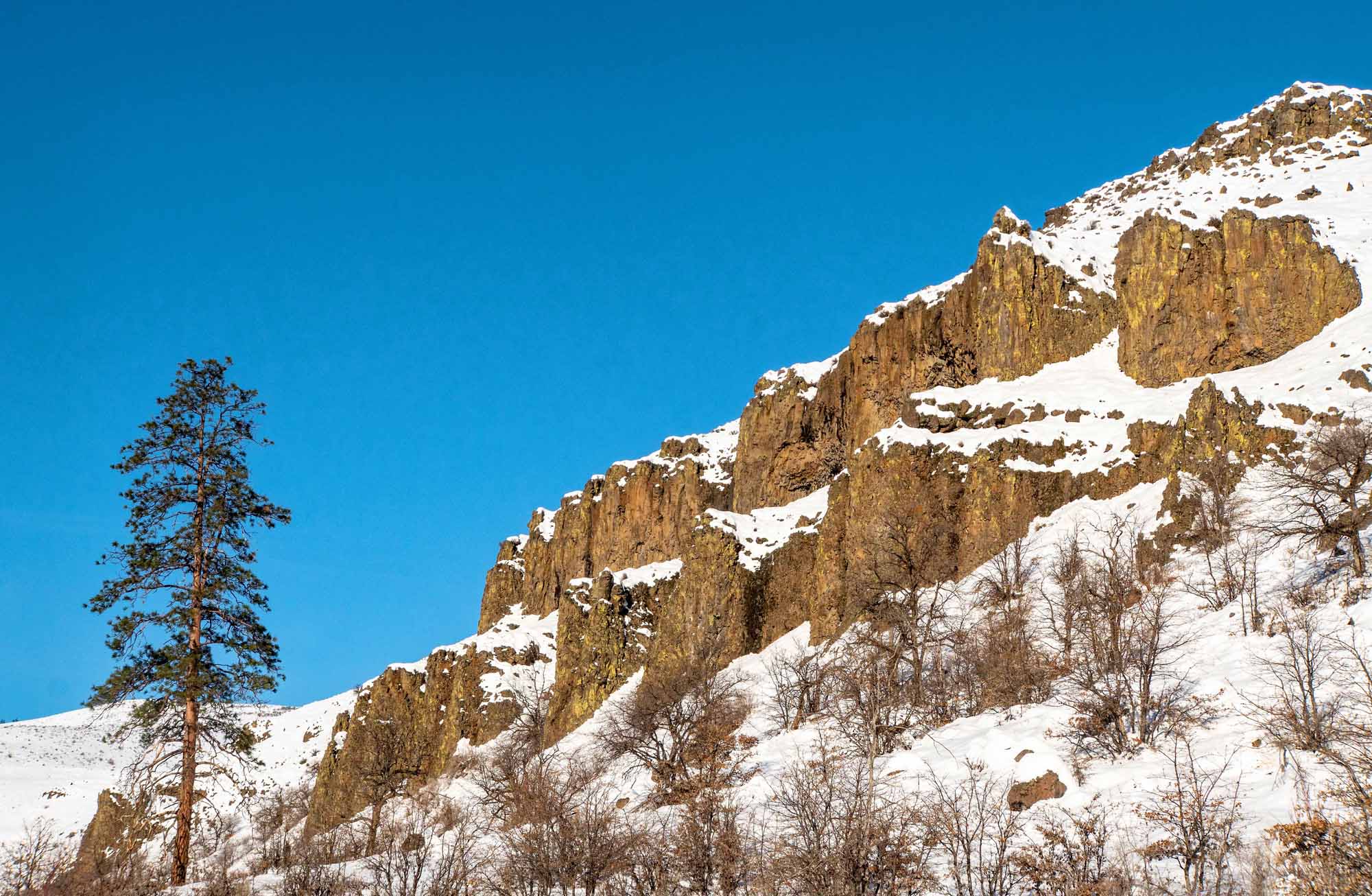 Oak Creek Road - Bethel Ridge — Washington Trails Association