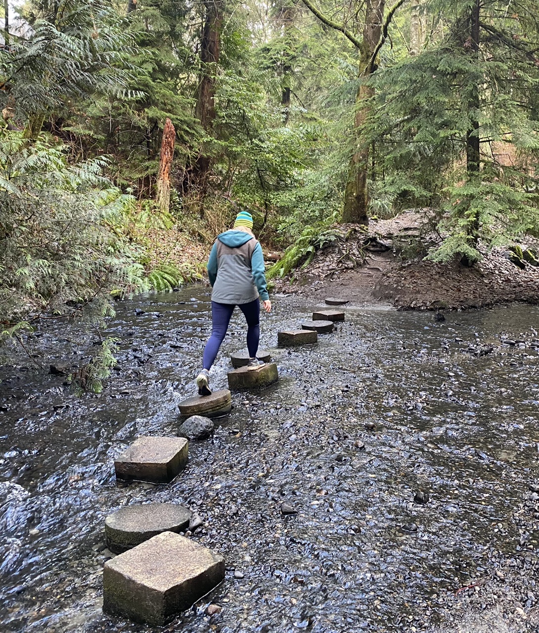 Innis Arden Reserve Park, Shoreview and Boeing Creek Parks — Washington ...