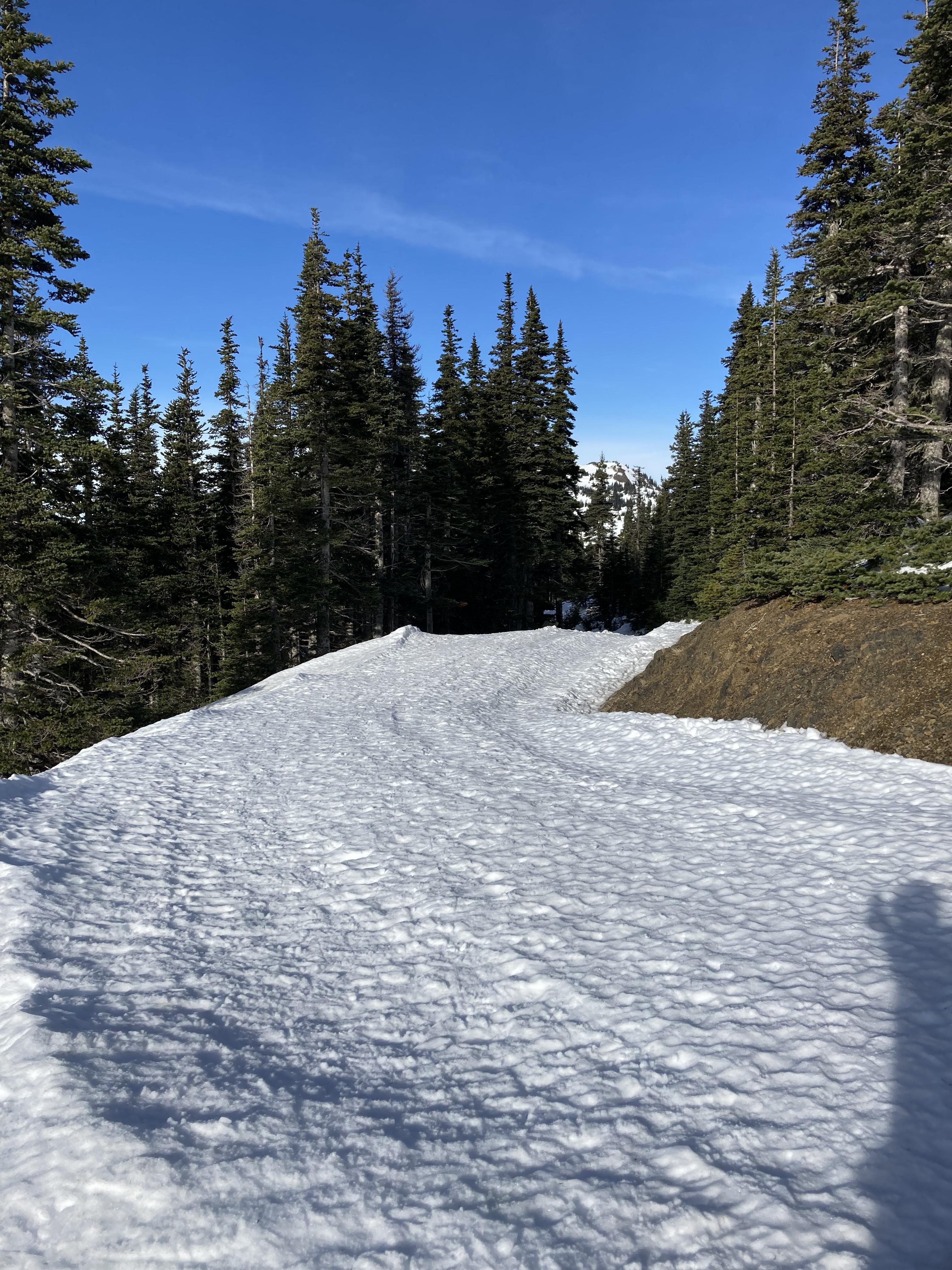 Hurricane Ridge Snowshoe — Washington Trails Association