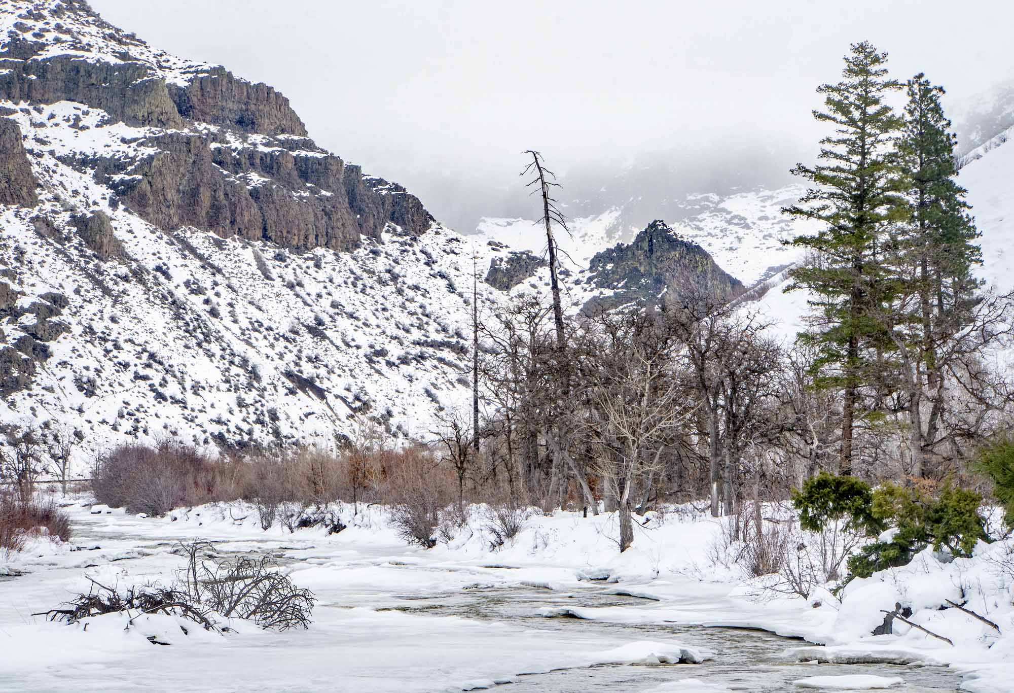 Tieton River Nature Trail — Washington Trails Association