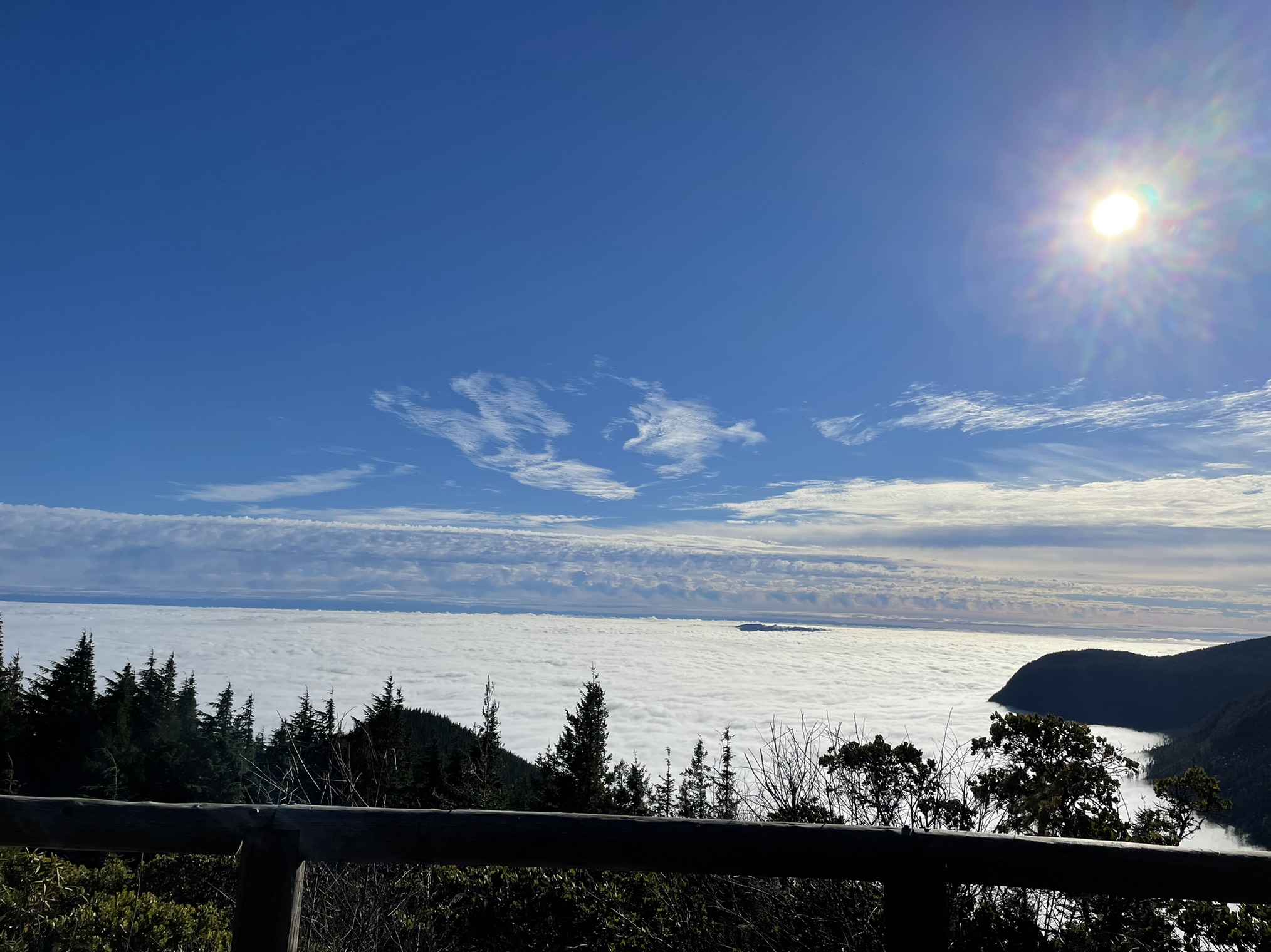 Mount Walker — Washington Trails Association