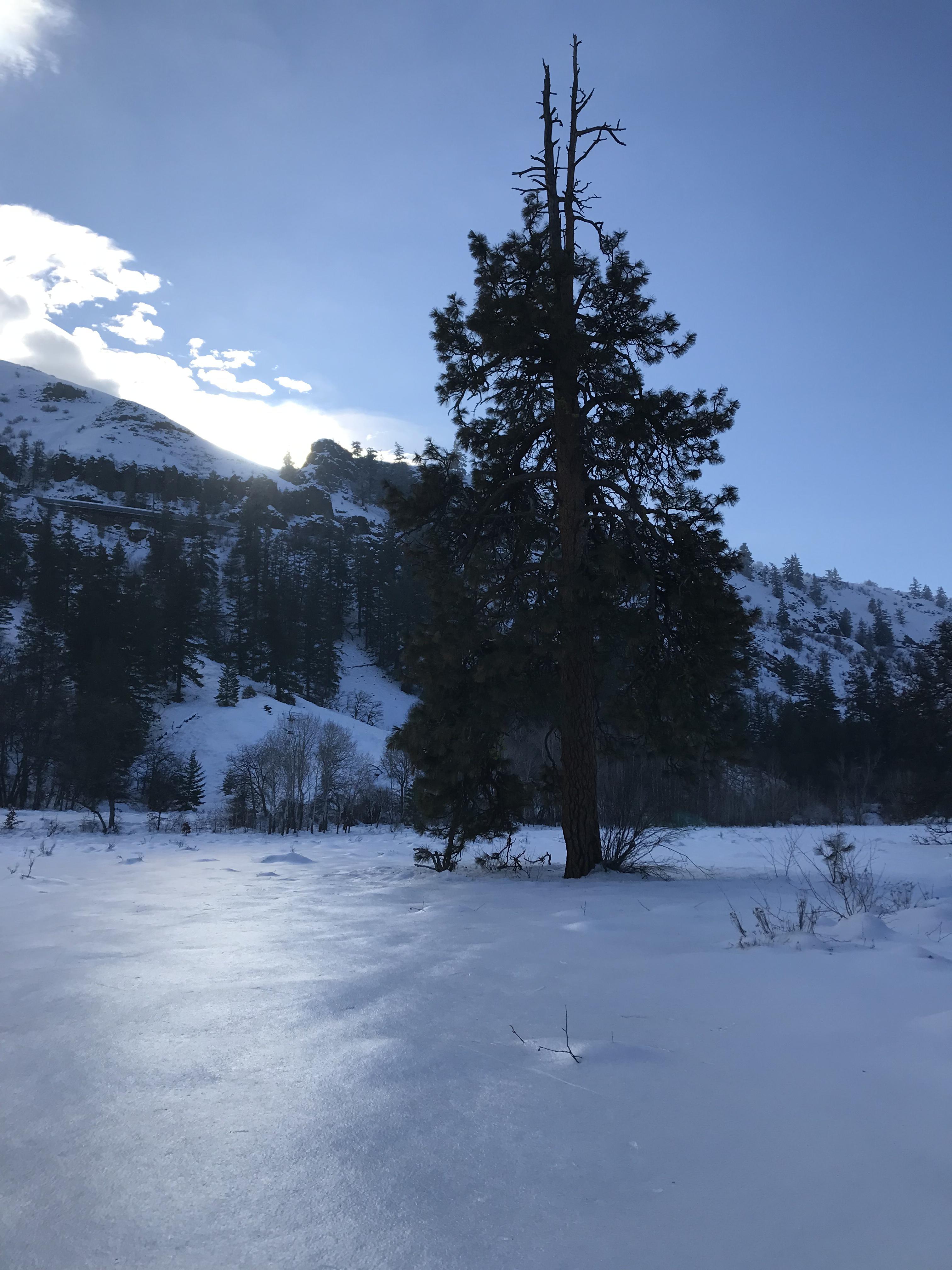 Tieton River Nature Trail — Washington Trails Association