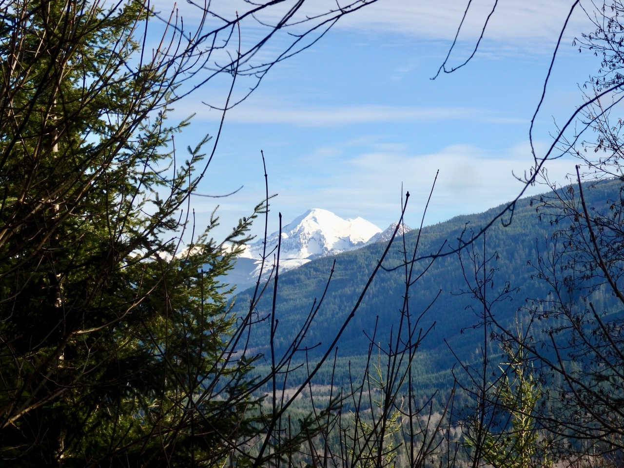 Alger Alp (South Route) — Washington Trails Association