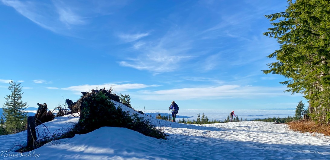 Blue Mountain, Sultan Basin — Washington Trails Association