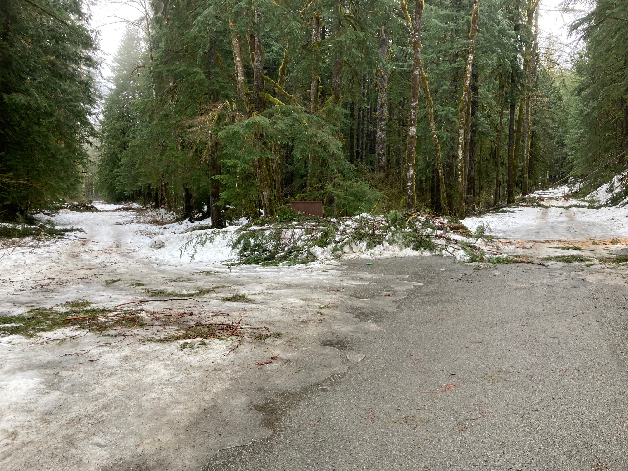 White Chuck Bench, Meadow Mountain, Mount Pugh — Washington Trails ...