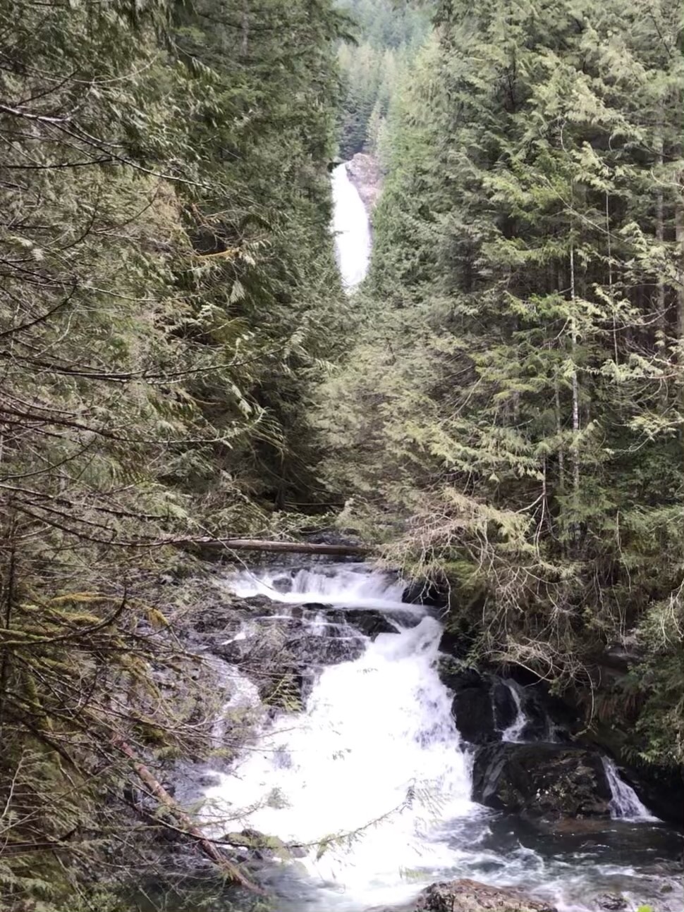 Wallace Falls State Park — Washington Trails Association
