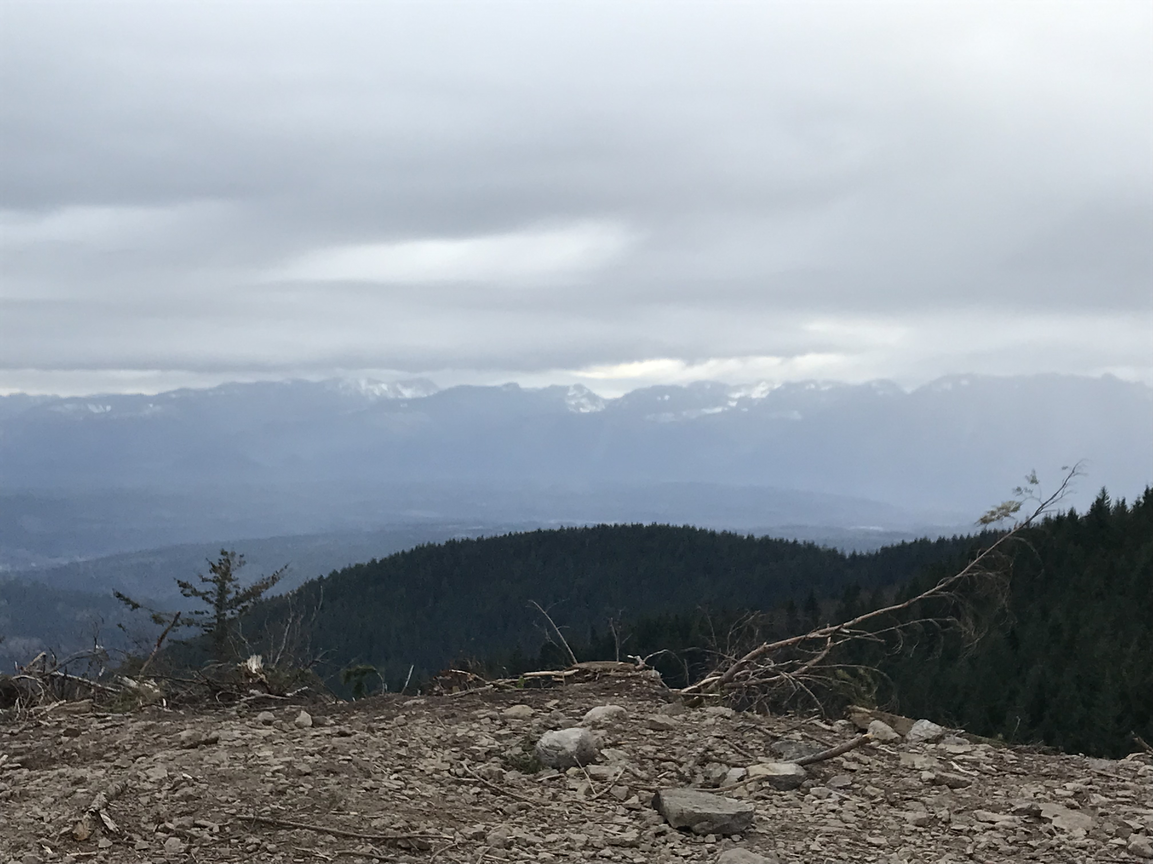 Cable Line Trail, West Tiger 3 — Washington Trails Association