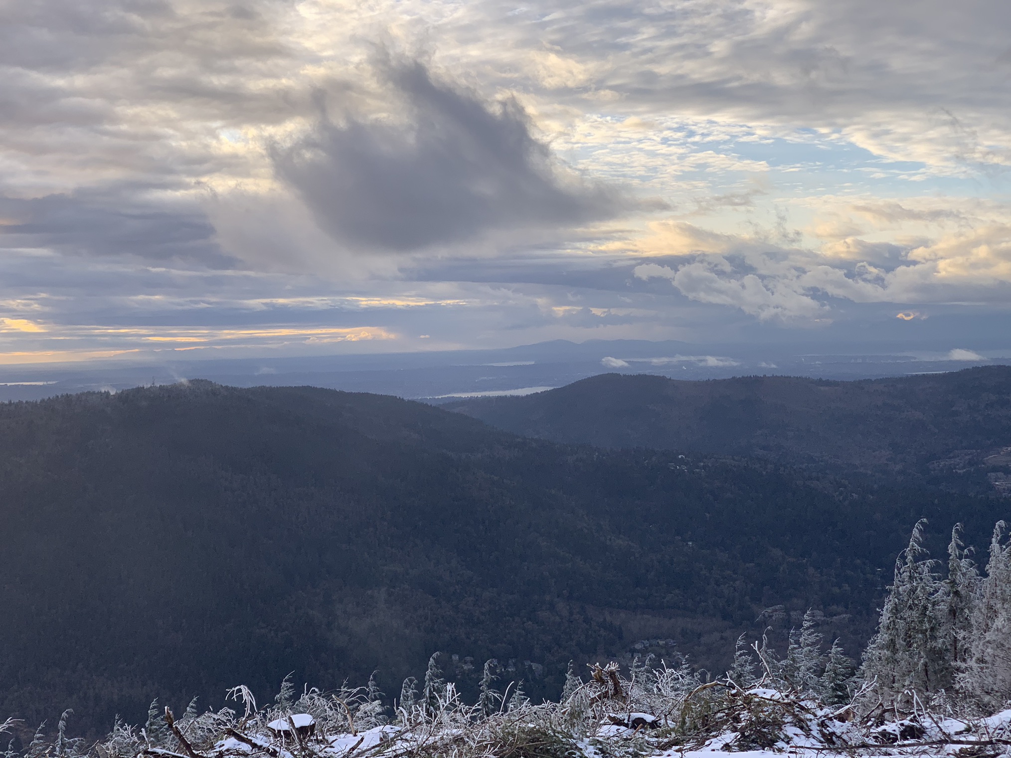 Cable Line Trail — Washington Trails Association