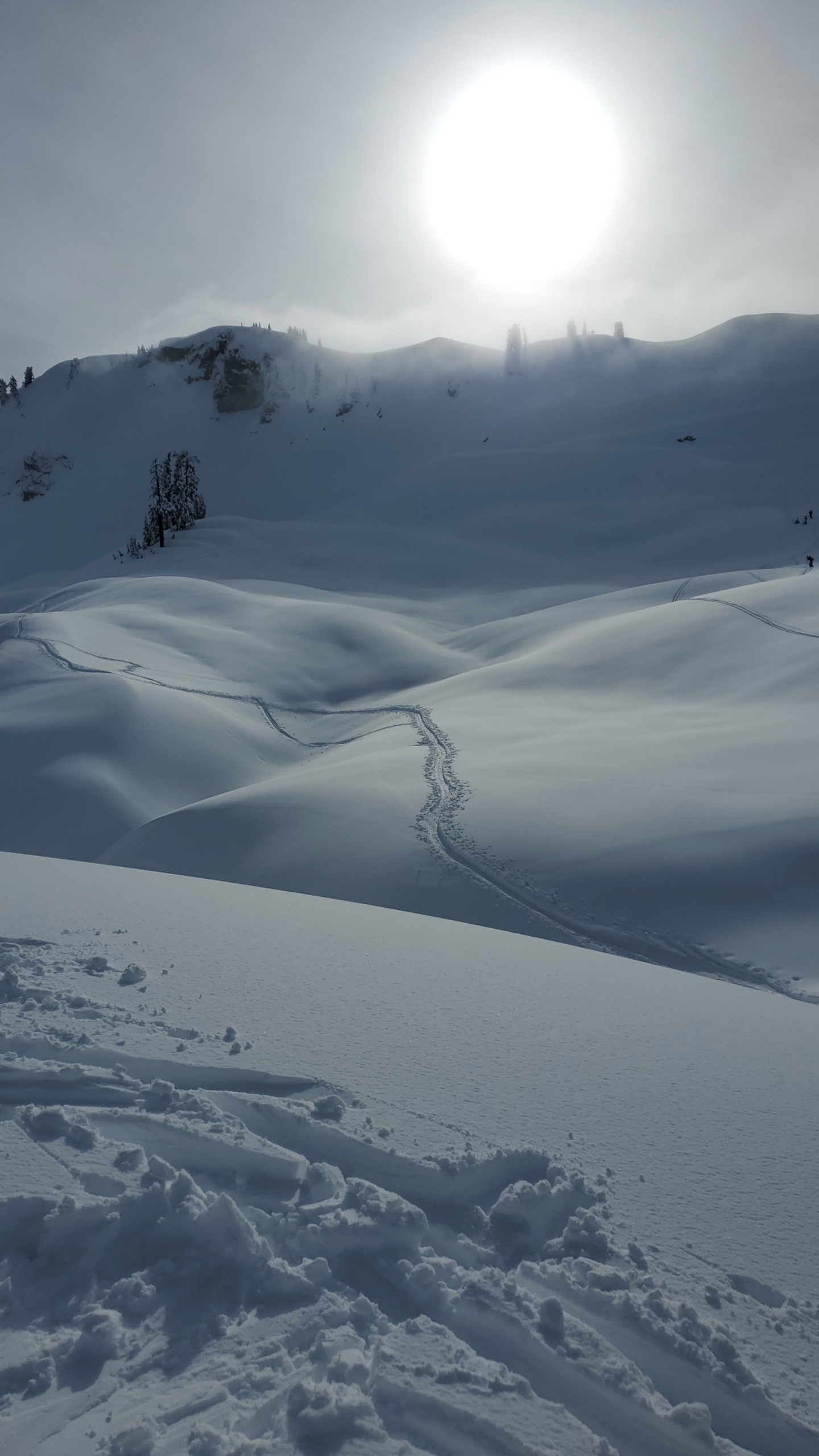 Artist Ridge - Huntoon Point, Artist Point Snowshoe, Table Mountain ...