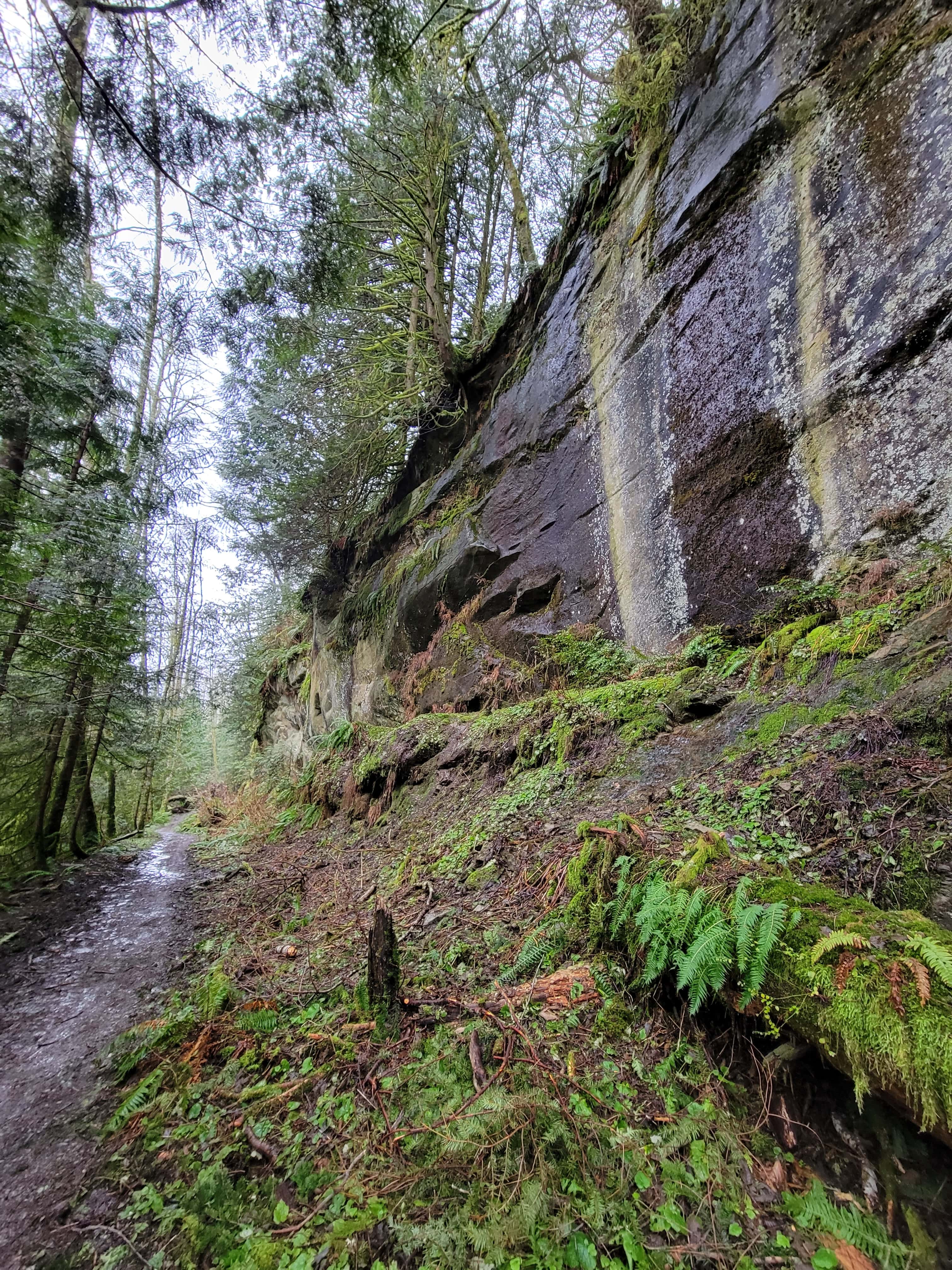 Fragrance Lake, Larrabee State Park - Chuckanut Ridge Trail, Larrabee ...