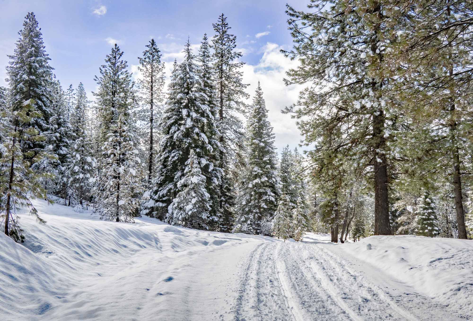 North Fork Teanaway River — Washington Trails Association