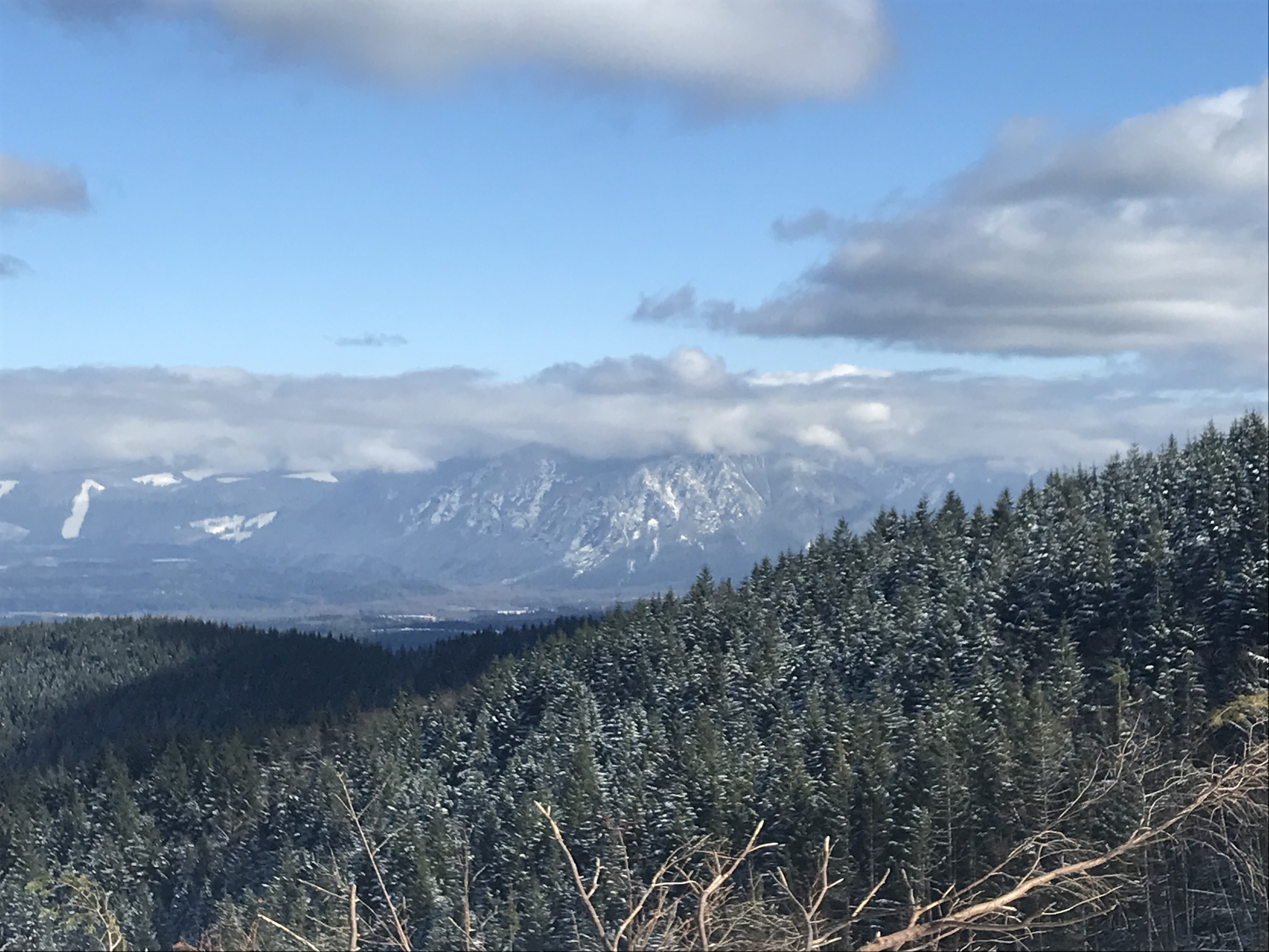 Cable Line Trail — Washington Trails Association
