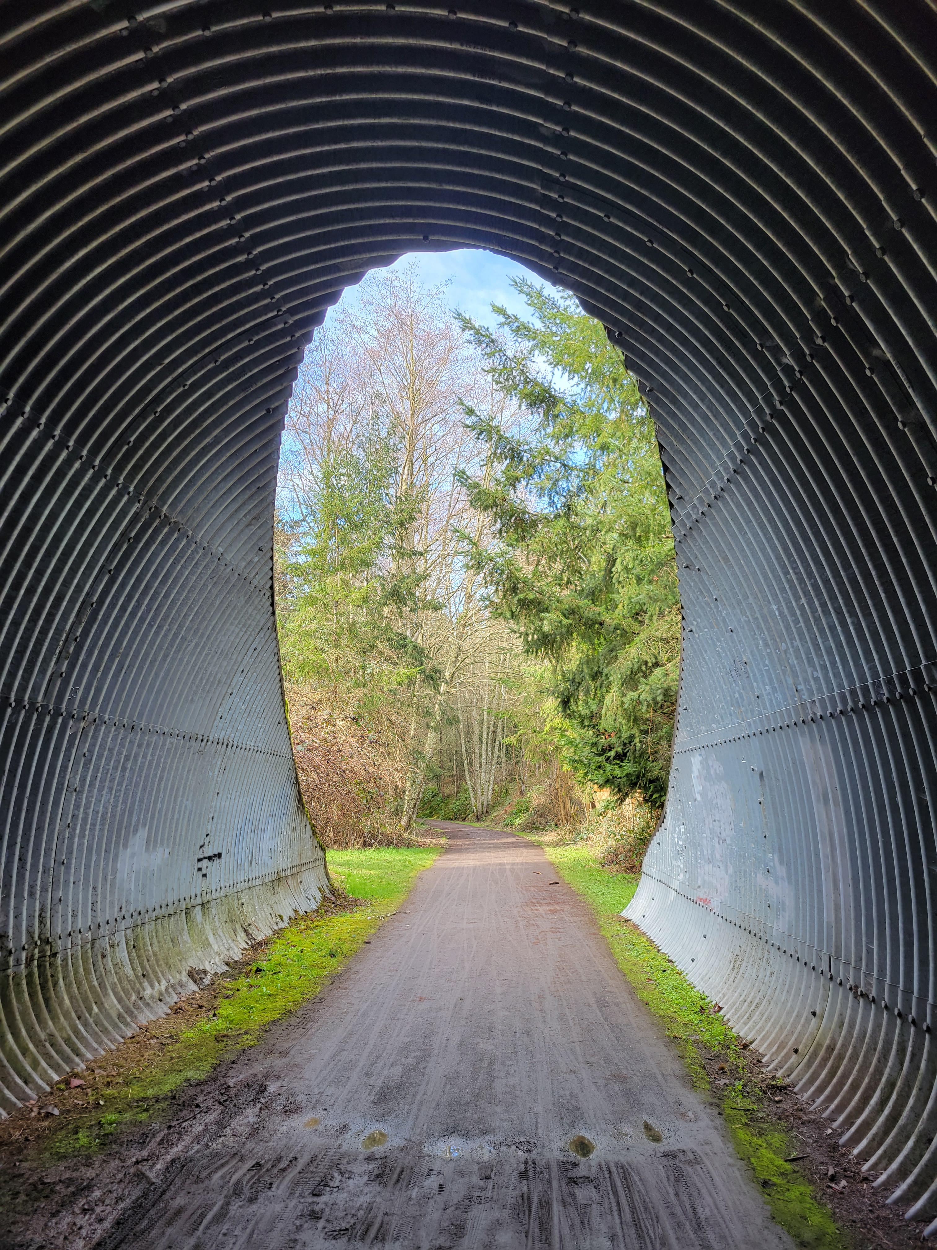 Larry Scott Trail — Washington Trails Association