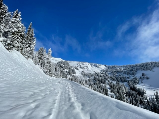 Mazama Ridge Snowshoe — Washington Trails Association