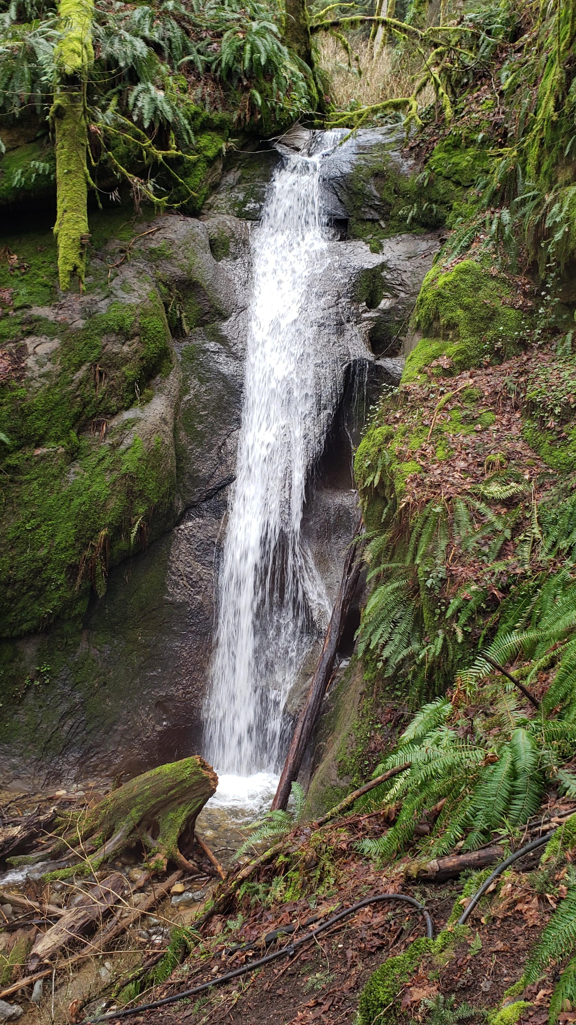 Larrabee State Park - Chuckanut Falls — Washington Trails Association