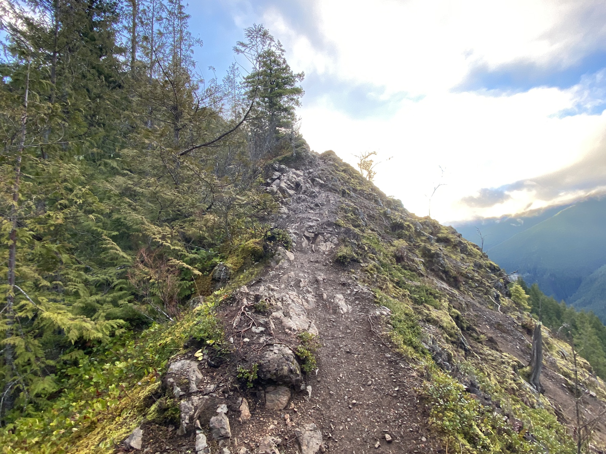 Mount Storm King — Washington Trails Association