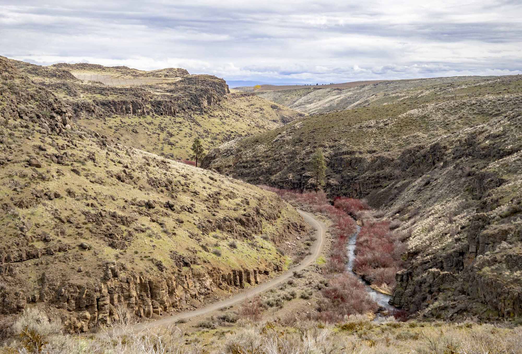 Cowiche Canyon Preserve — Washington Trails Association