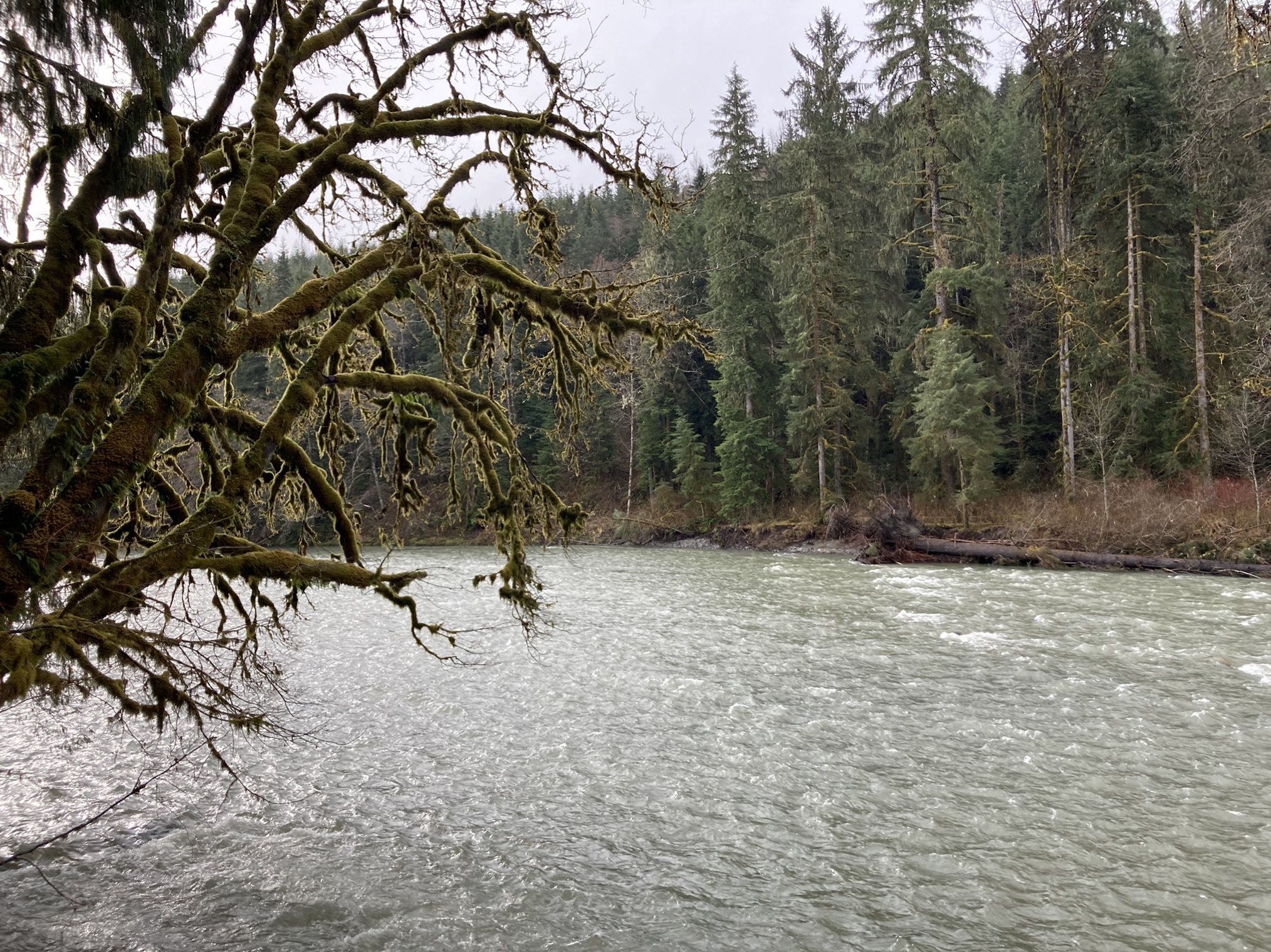 Old Robe Canyon — Washington Trails Association