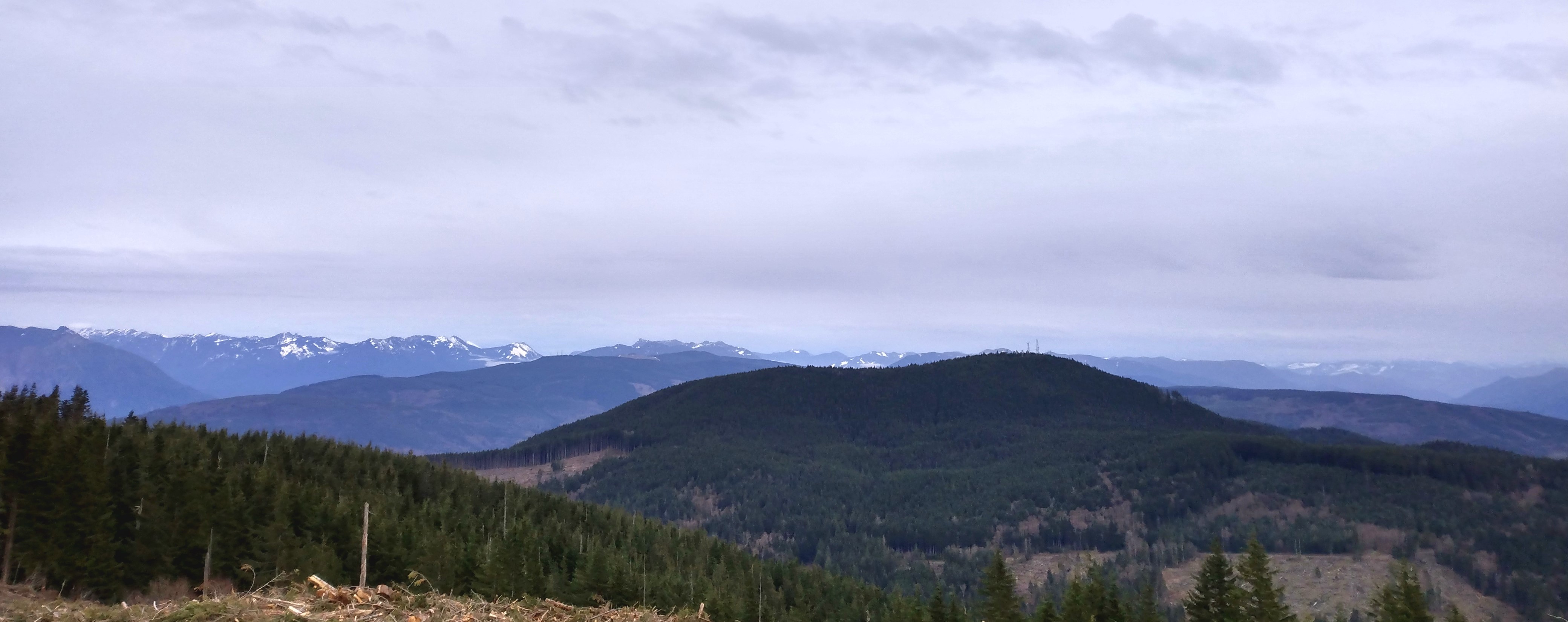 Poo Poo Point - Chirico Trail, One-View Trail, Poo Top, Hidden Forest ...