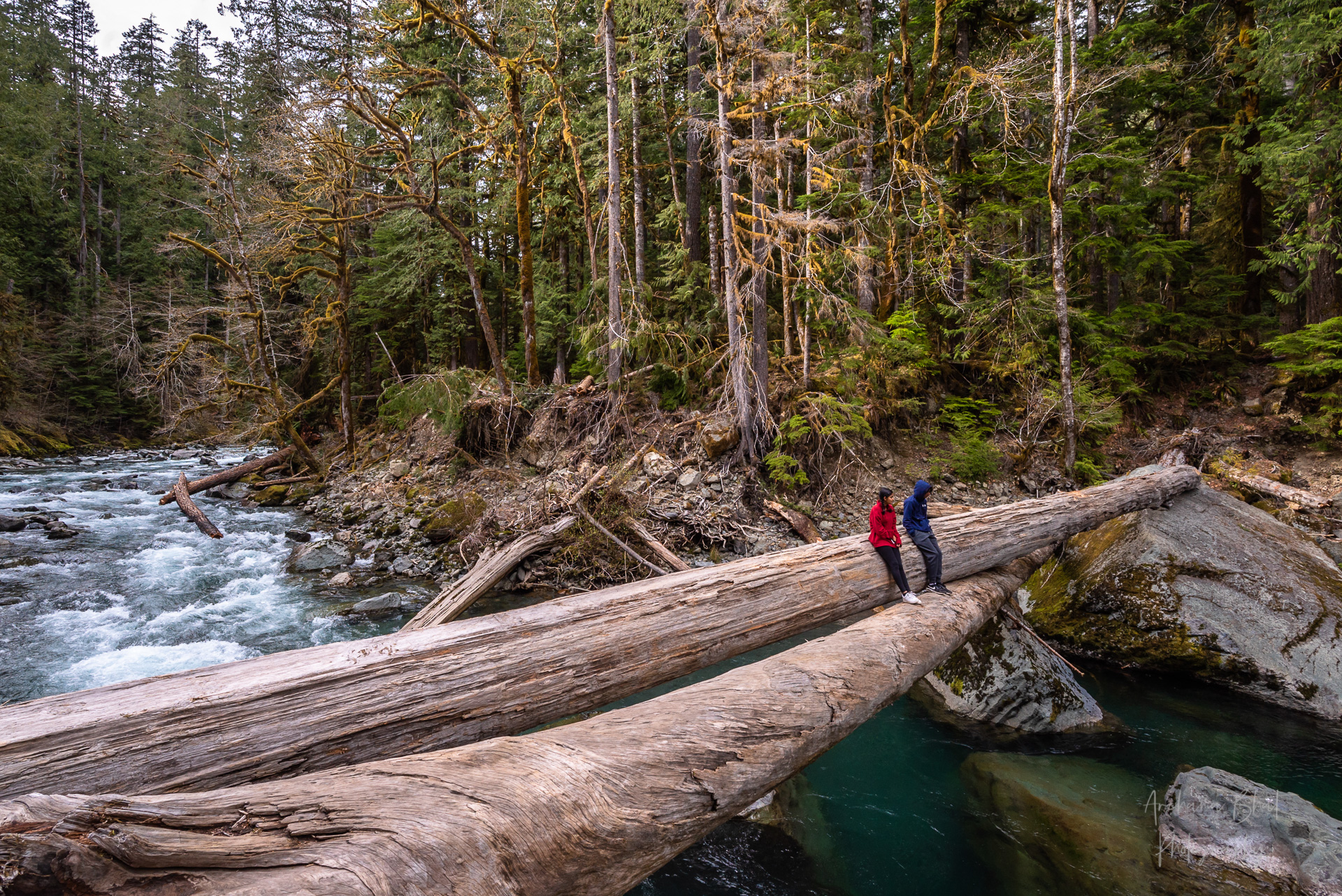 Staircase Rapids — Washington Trails Association