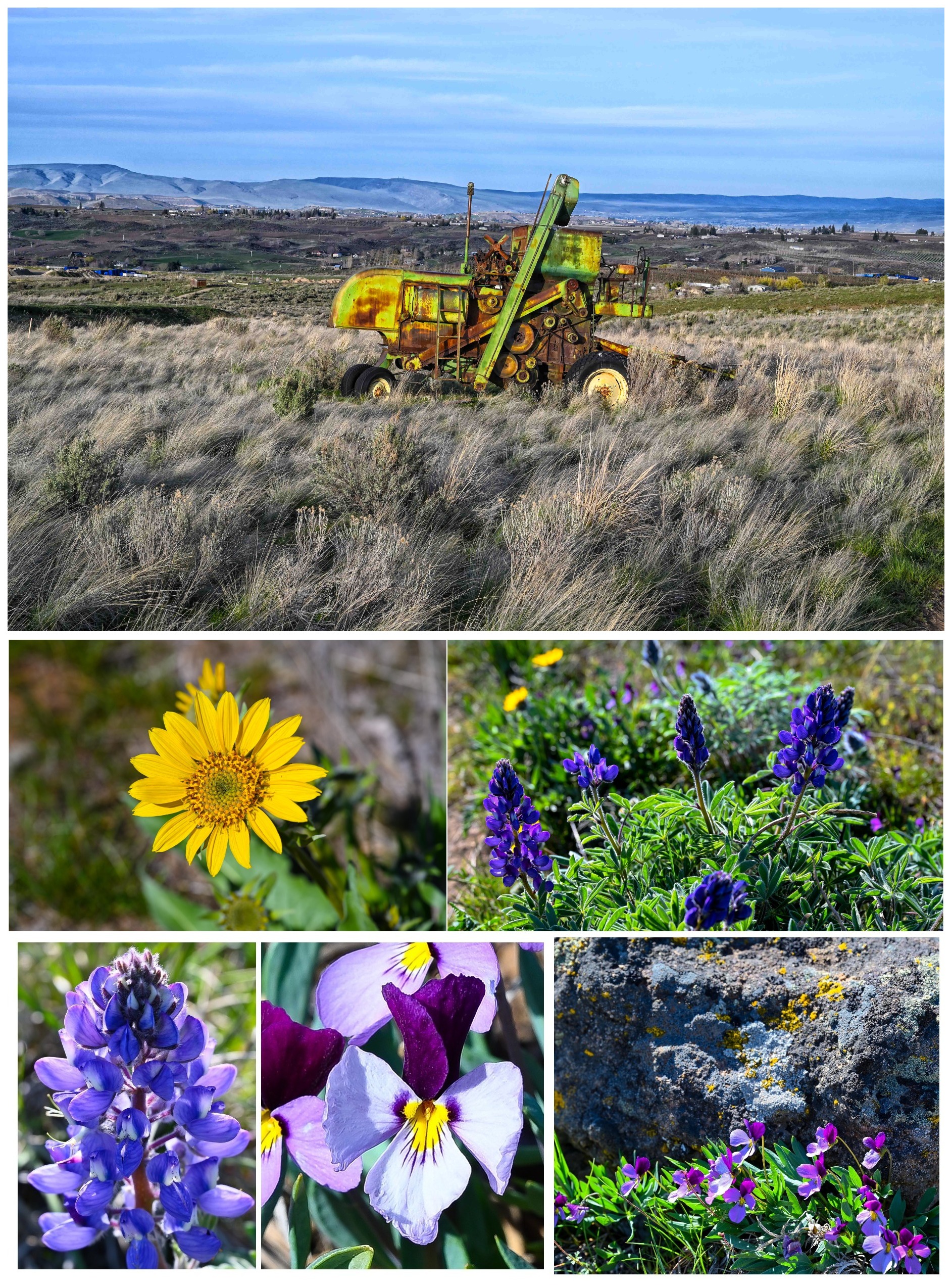 Rocky Top and Cowiche Mountain, Snow Mountain Ranch and Cowiche ...
