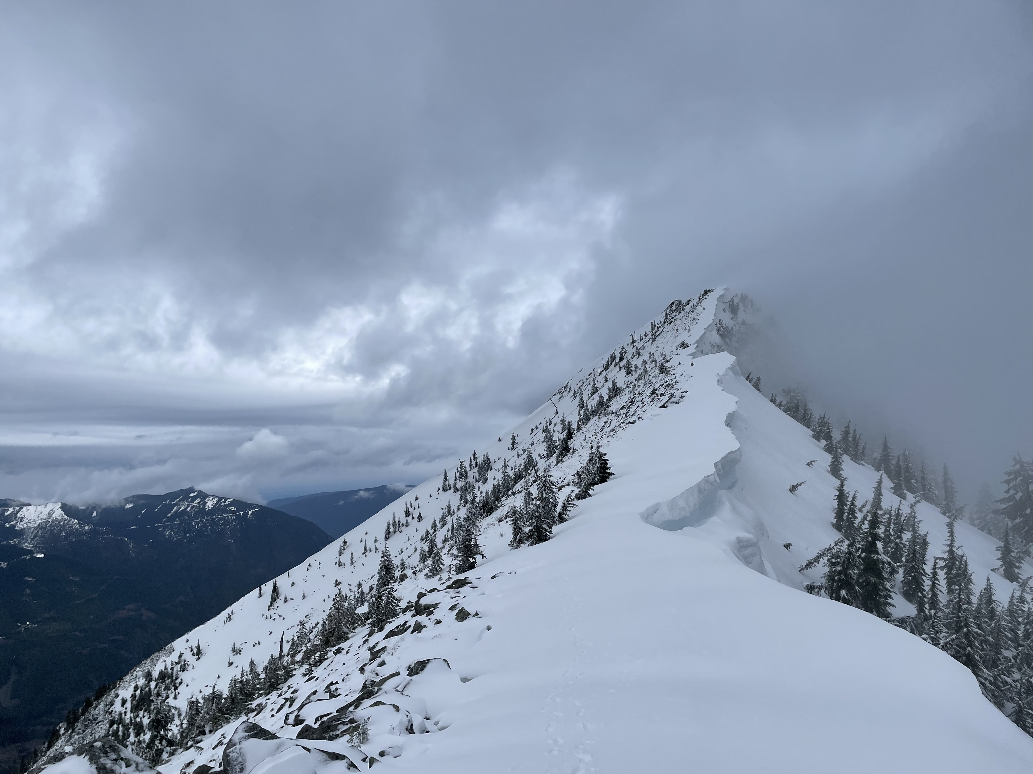 Web Mountain, Bandera Mountain, Ira Spring Connector Trail, Ira Spring ...
