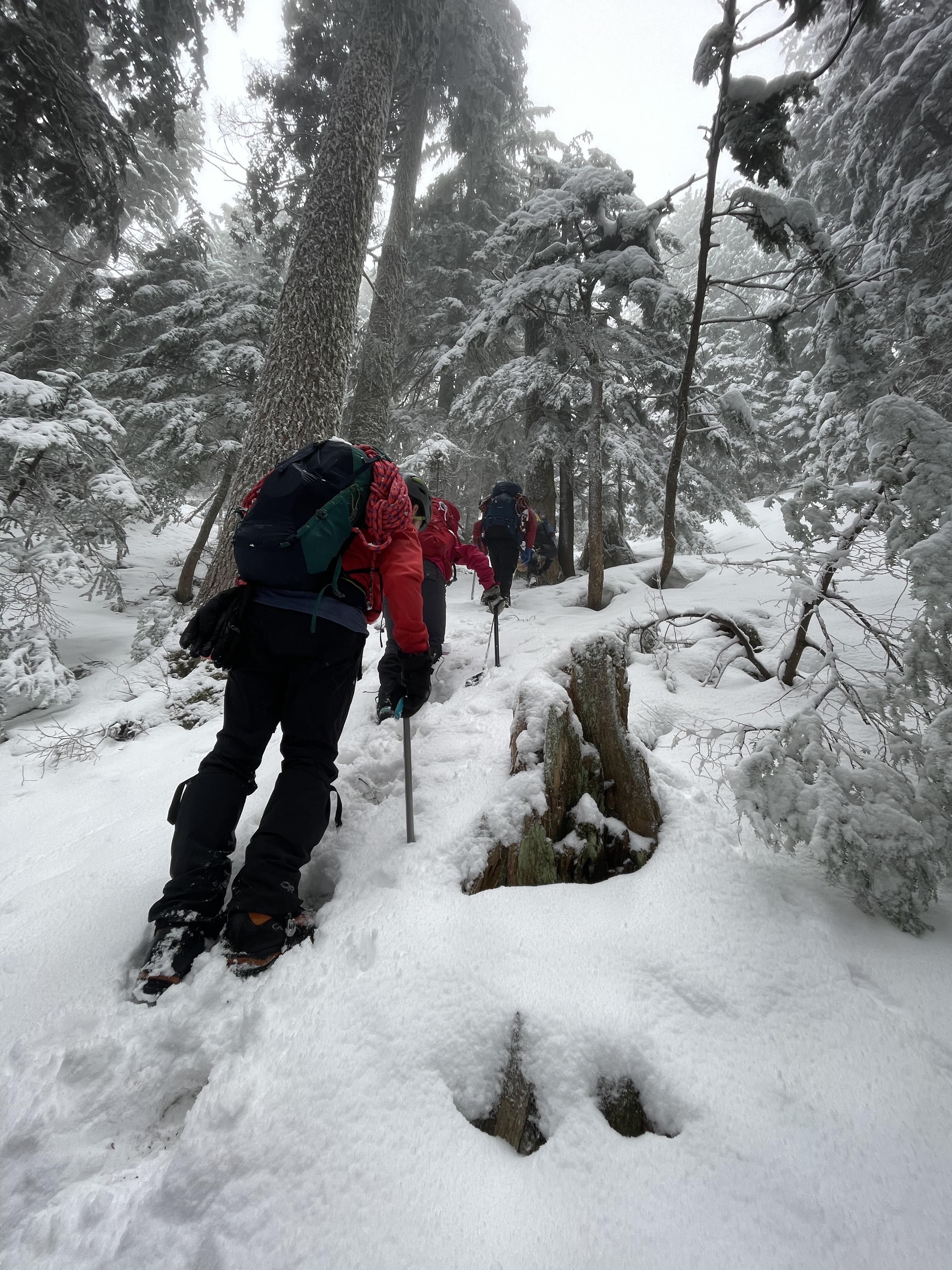 Mount Baring — Washington Trails Association