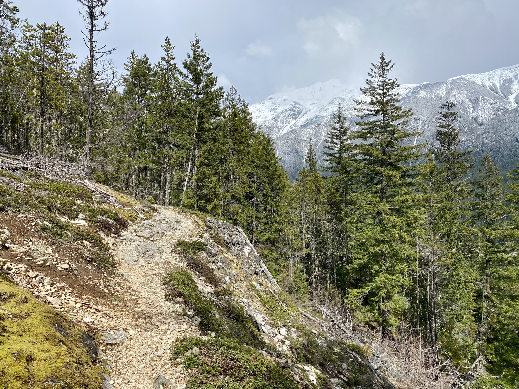 Ross Dam Trail, Big Beaver Trail — Washington Trails Association