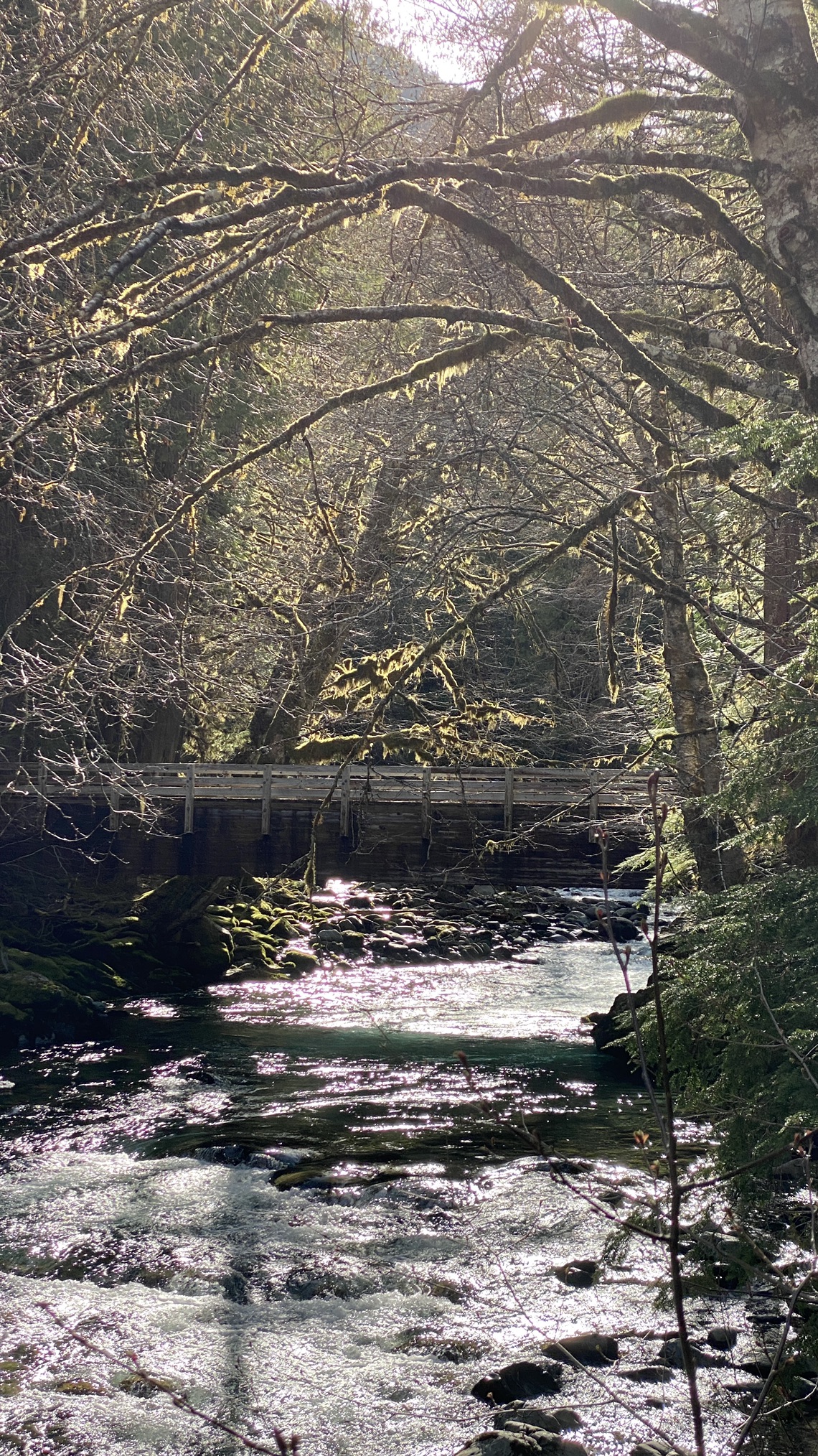 Dosewallips River Road — Washington Trails Association