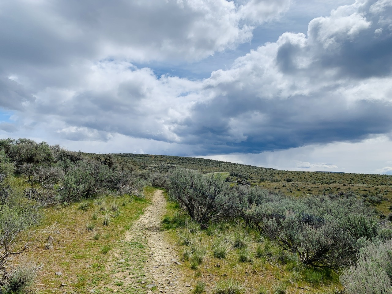 Cowiche Canyon Preserve — Washington Trails Association