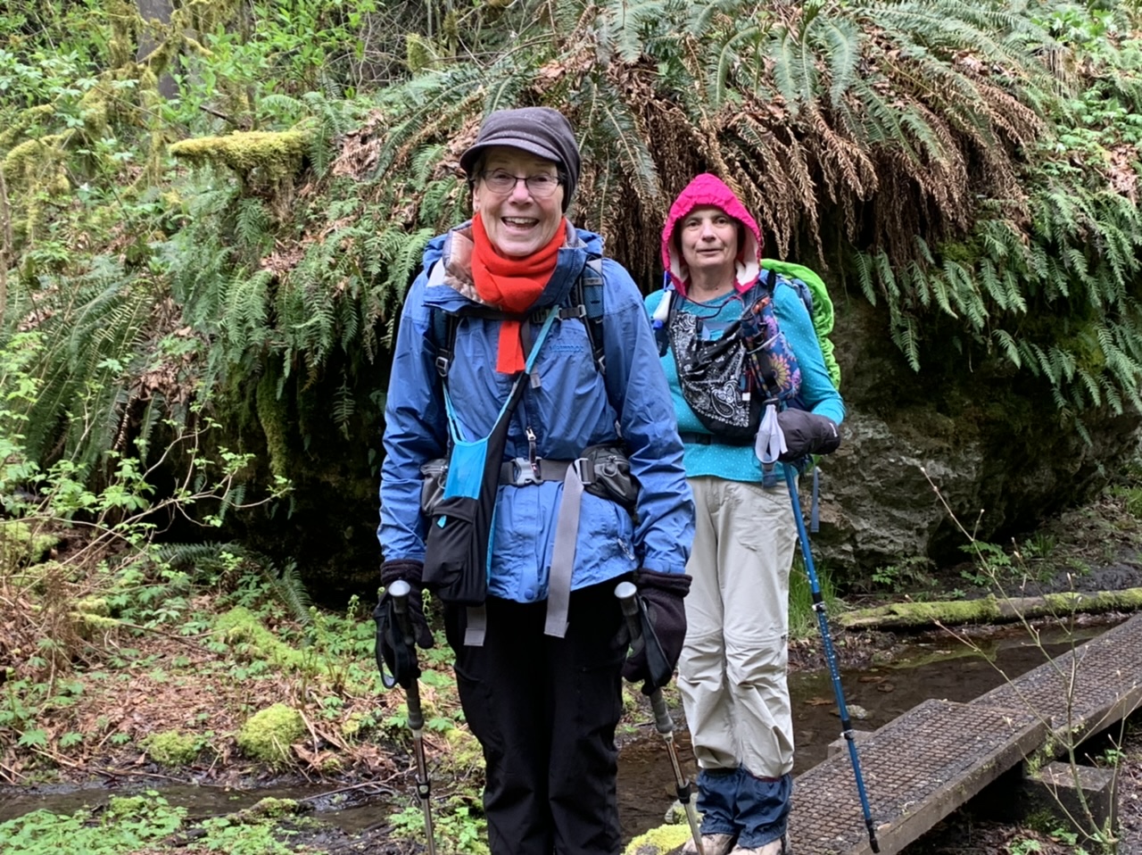 Wilderness Peak Loop, Shy Bear, Deceiver — Washington Trails Association