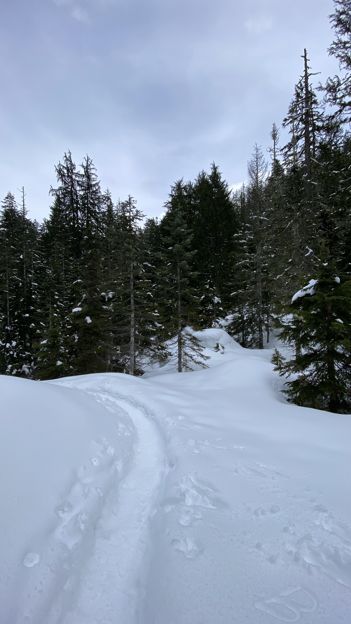 Heather Lake — Washington Trails Association