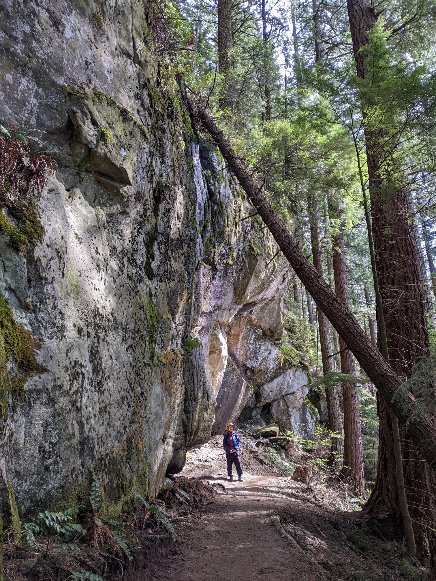 Larrabee State Park - Rock Trail — Washington Trails Association