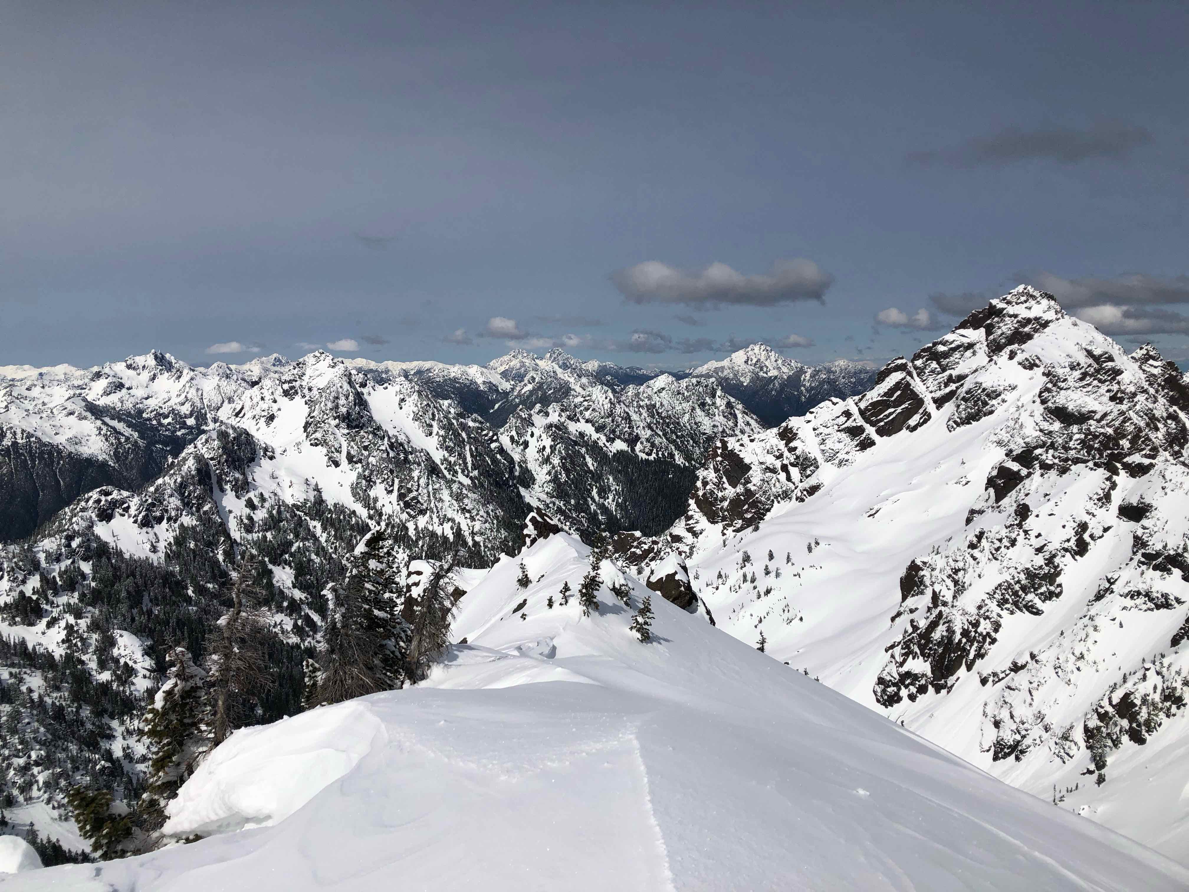 Mount Ellinor — Washington Trails Association