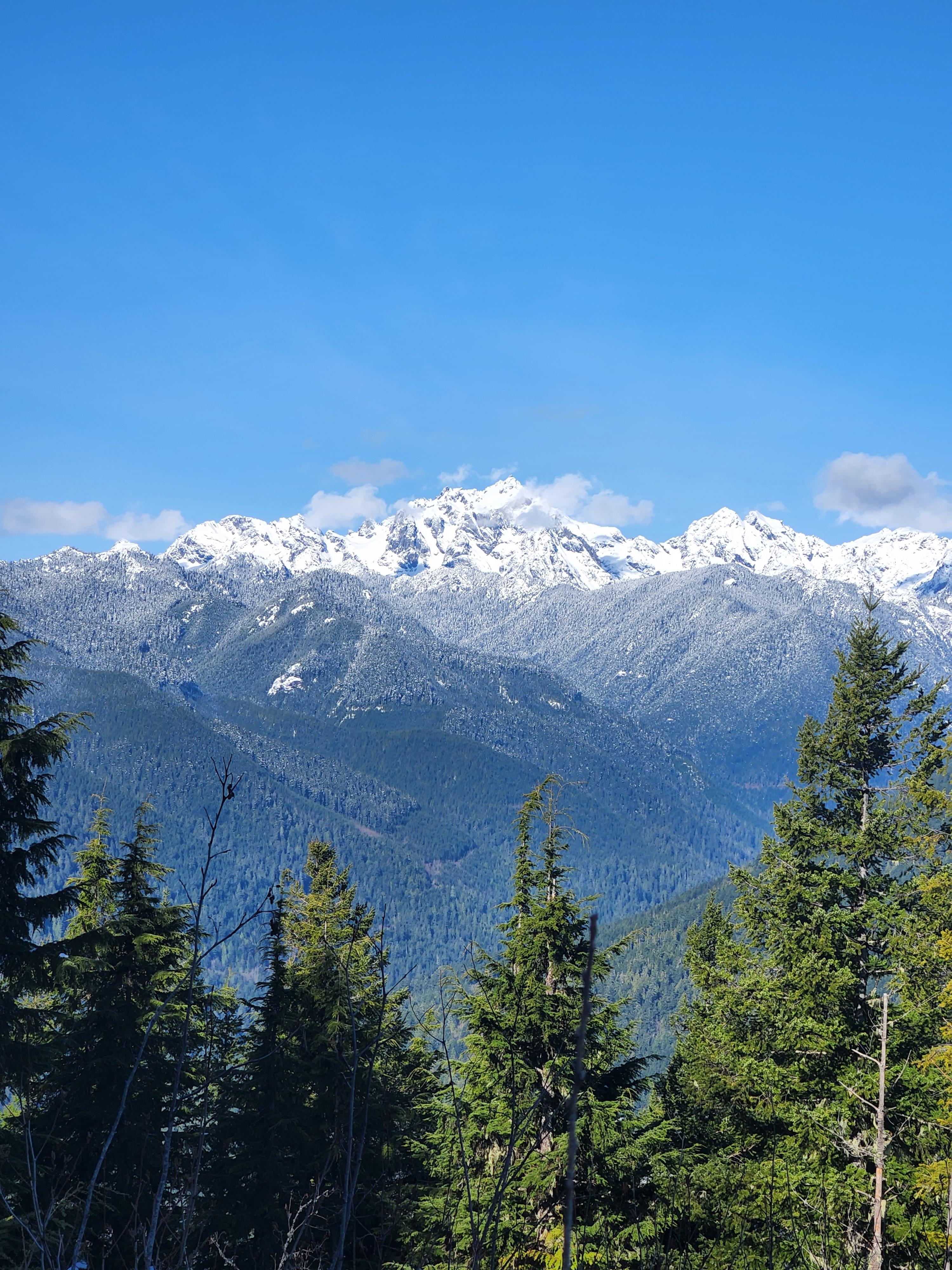 Mount Walker — Washington Trails Association