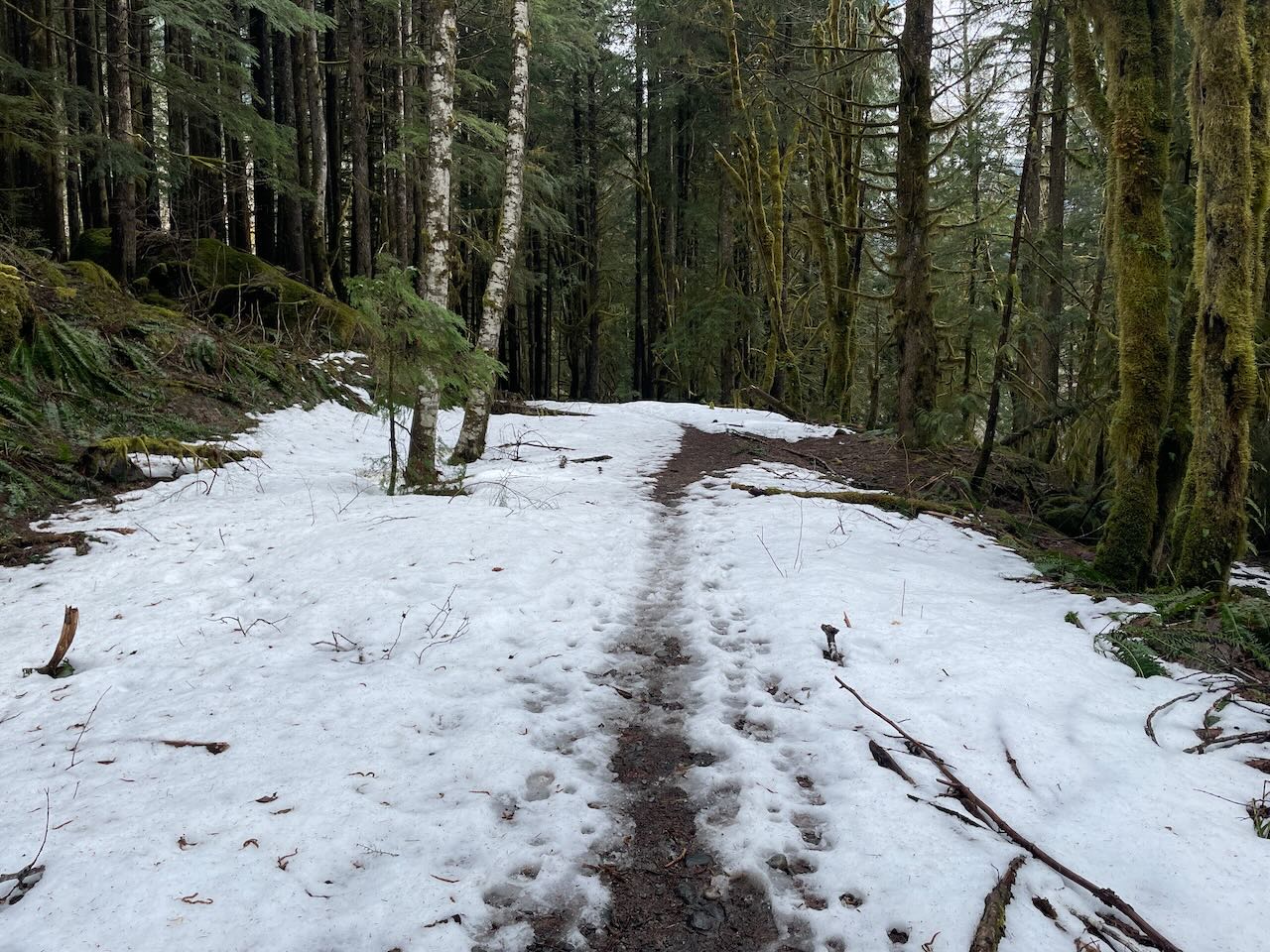 Snoqualmie Lake, Taylor River - Otter Falls, Nordrum Lake — Washington ...