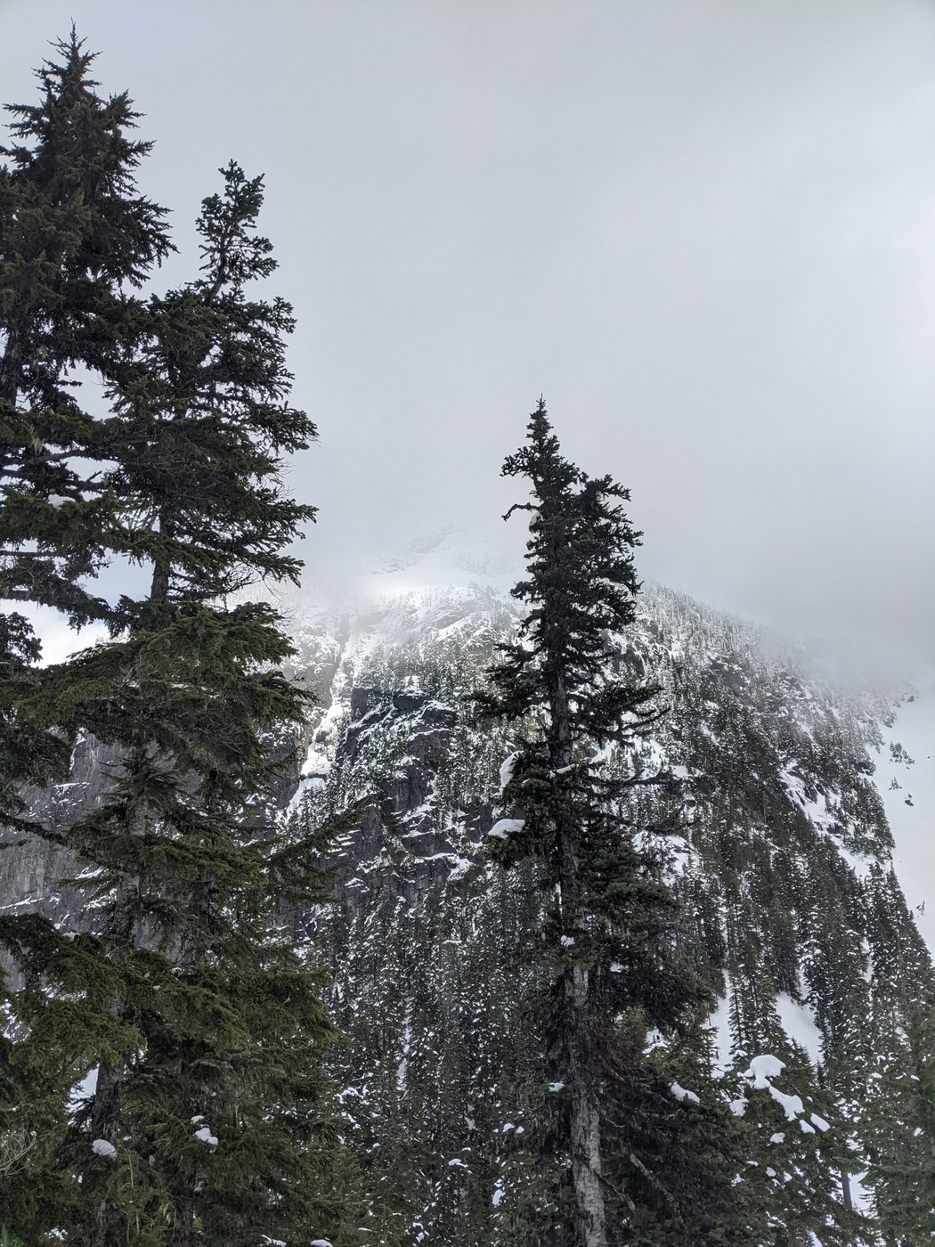 Mount Baring — Washington Trails Association