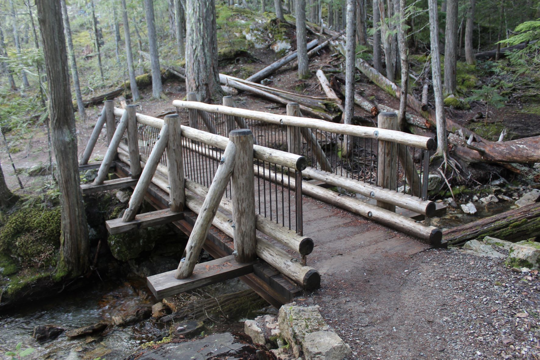 Happy-Panther, Ross Dam Trail — Washington Trails Association