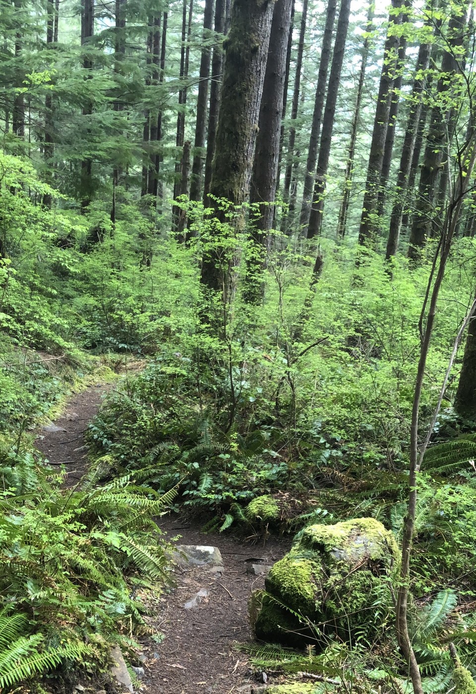Wallace Falls State Park - Greg Ball Trail to Wallace Lake — Washington ...