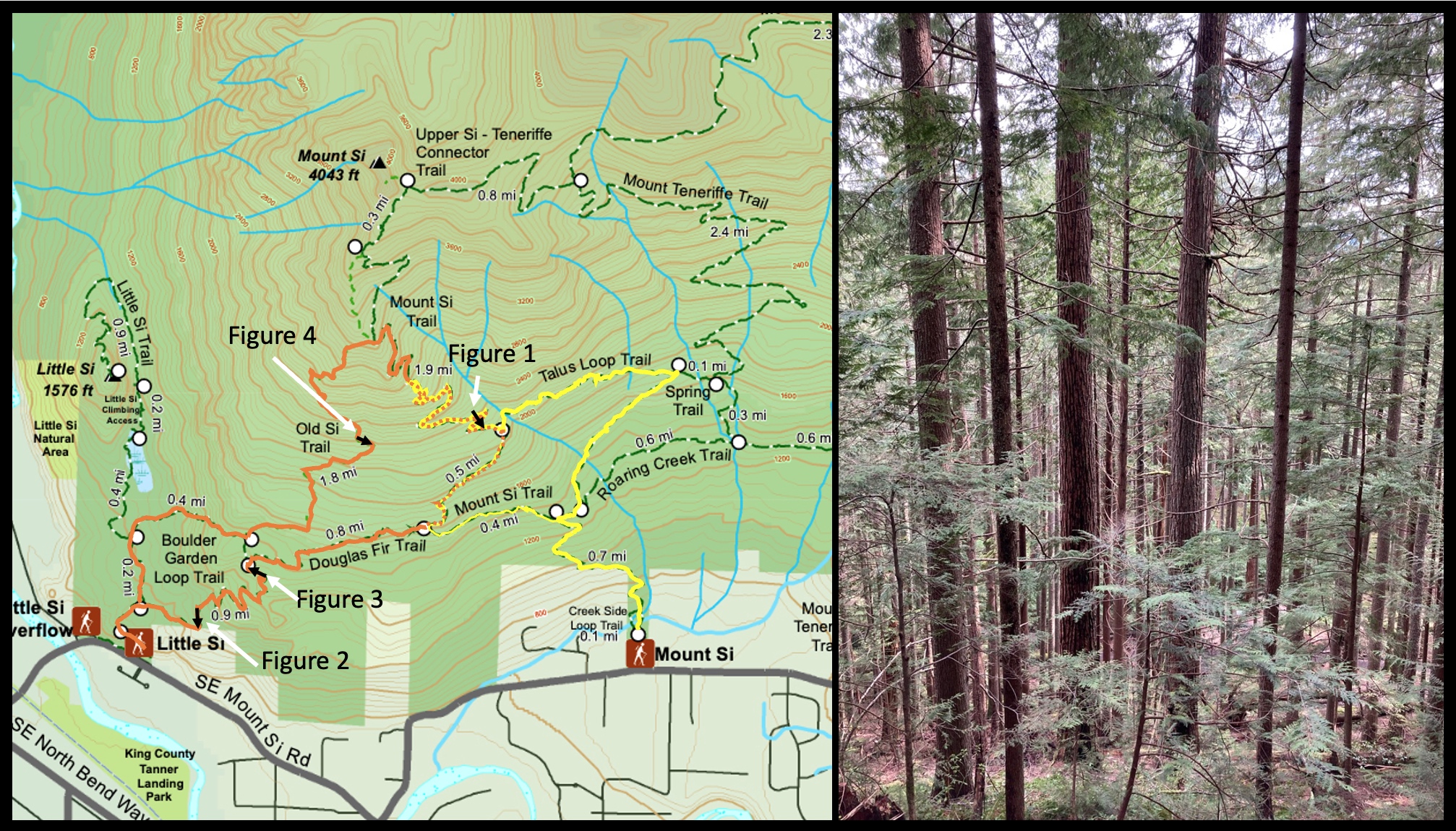 Boulder Garden Loop, Douglas Fir, Mount Si, Mount Si - Old Trail ...
