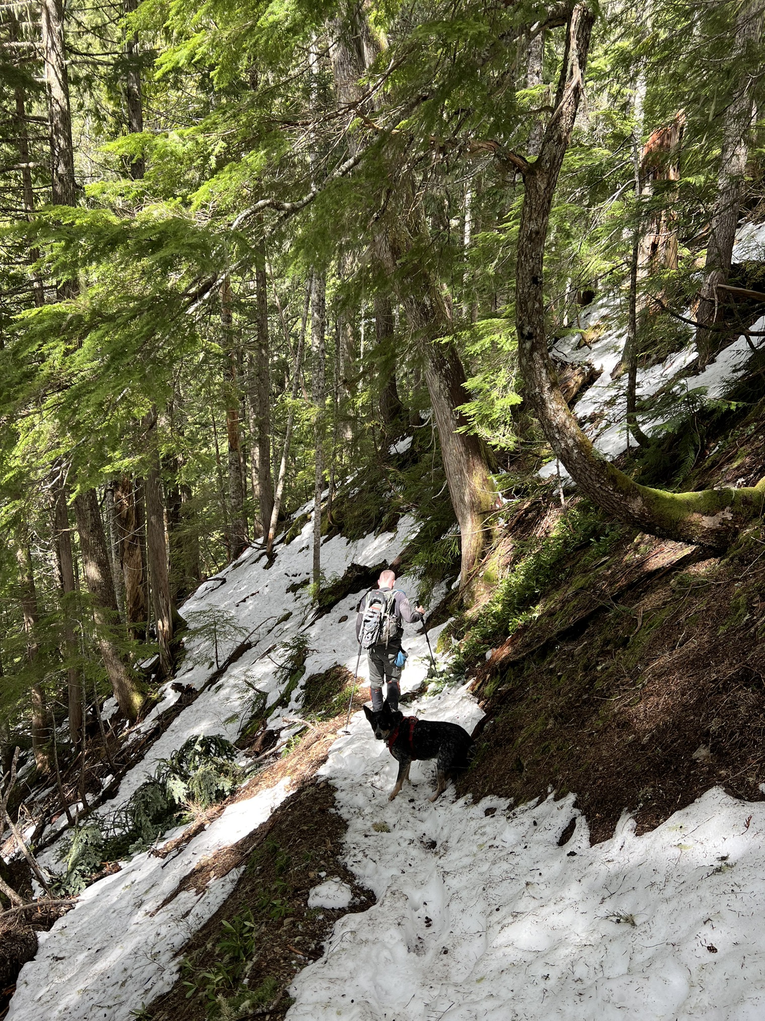 Welcome Pass — Washington Trails Association